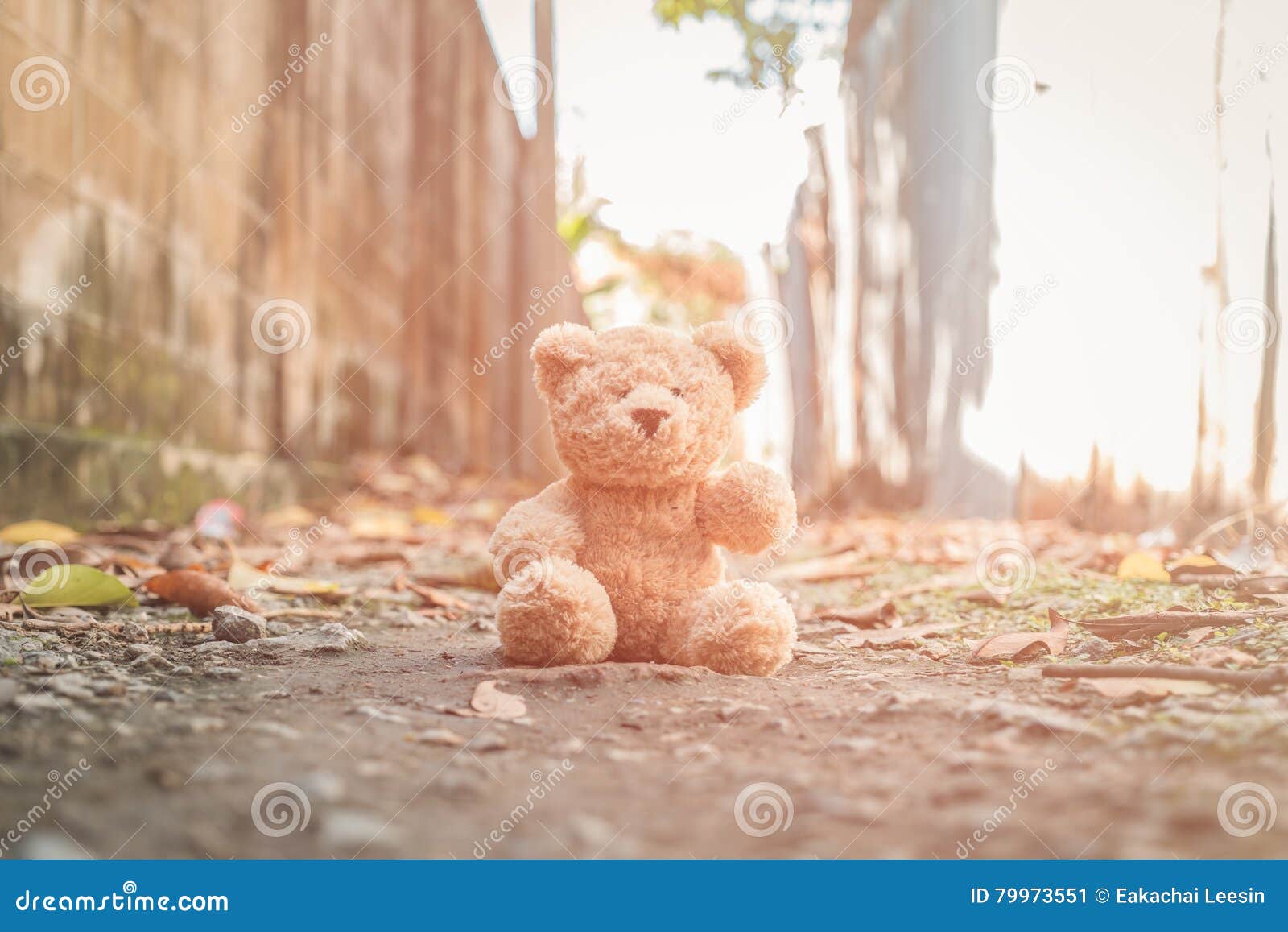 Teddy bear adventure stock image. Image of path, field - 79973551