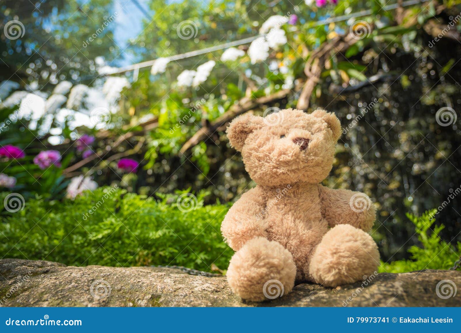 Teddy bear adventure stock image. Image of cute, fabric - 79973741