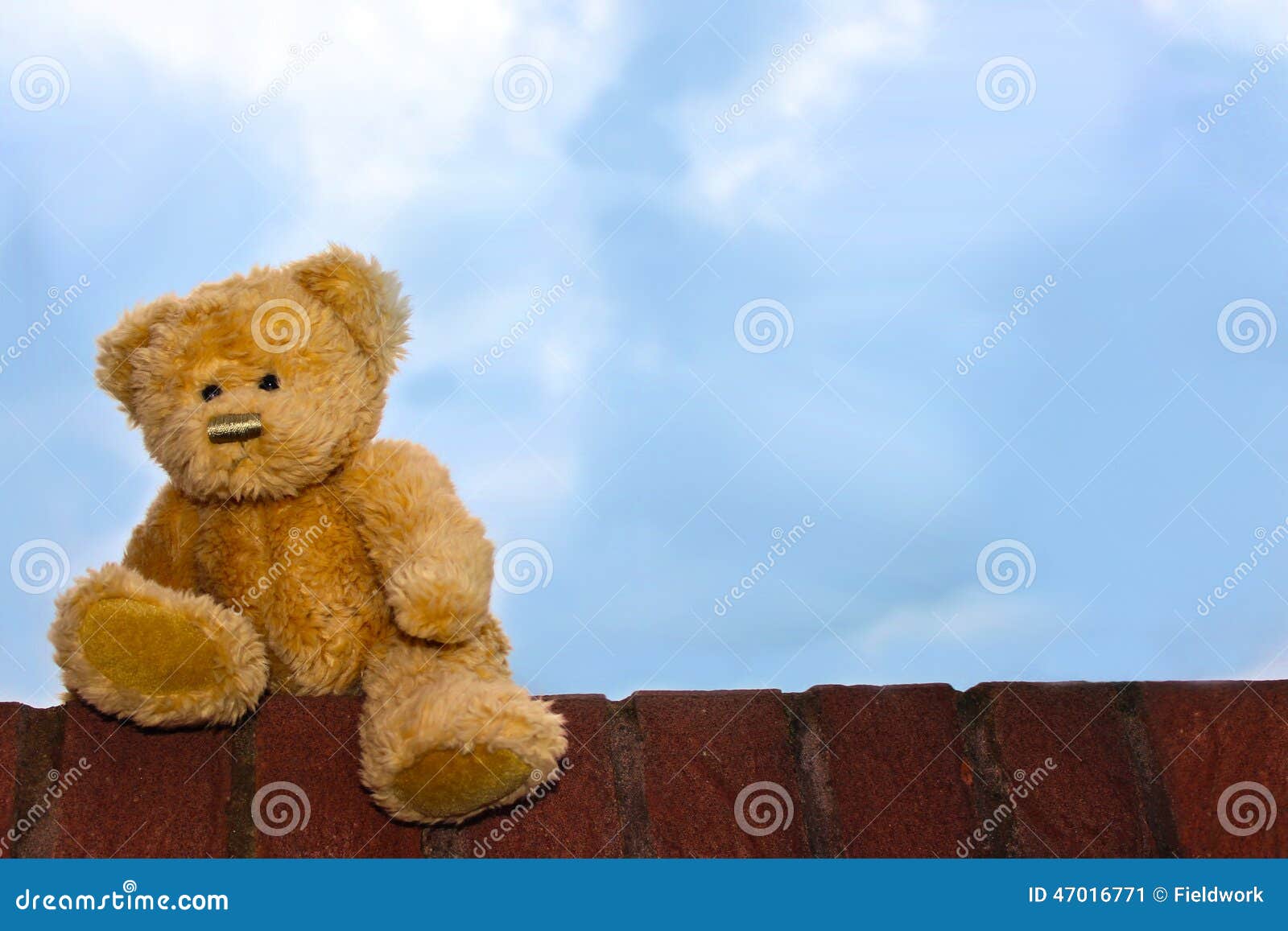 Teddy Bear Against A Blue Sky Stock Image Image Of Copy Bear 47016771
