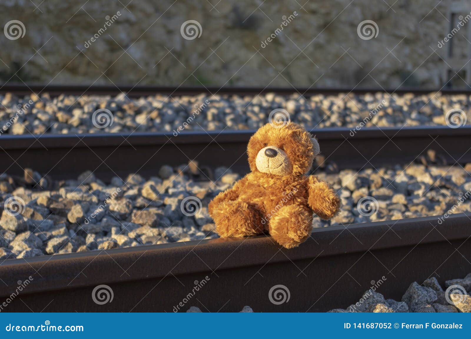 Teddy Bear Alone on Railway Stock Photo - Image of lonely, railway ...