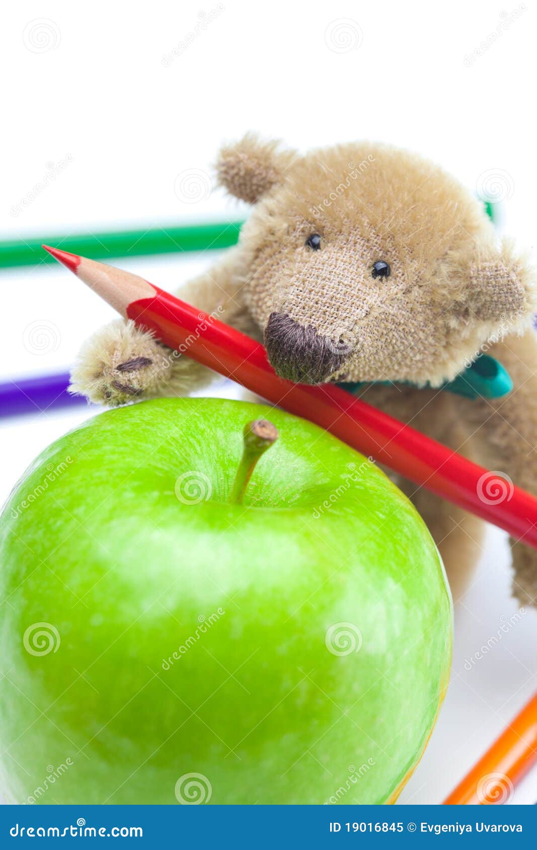 Teddy Bear, Apple and Pencils Stock Image - Image of love, eating: 19016845