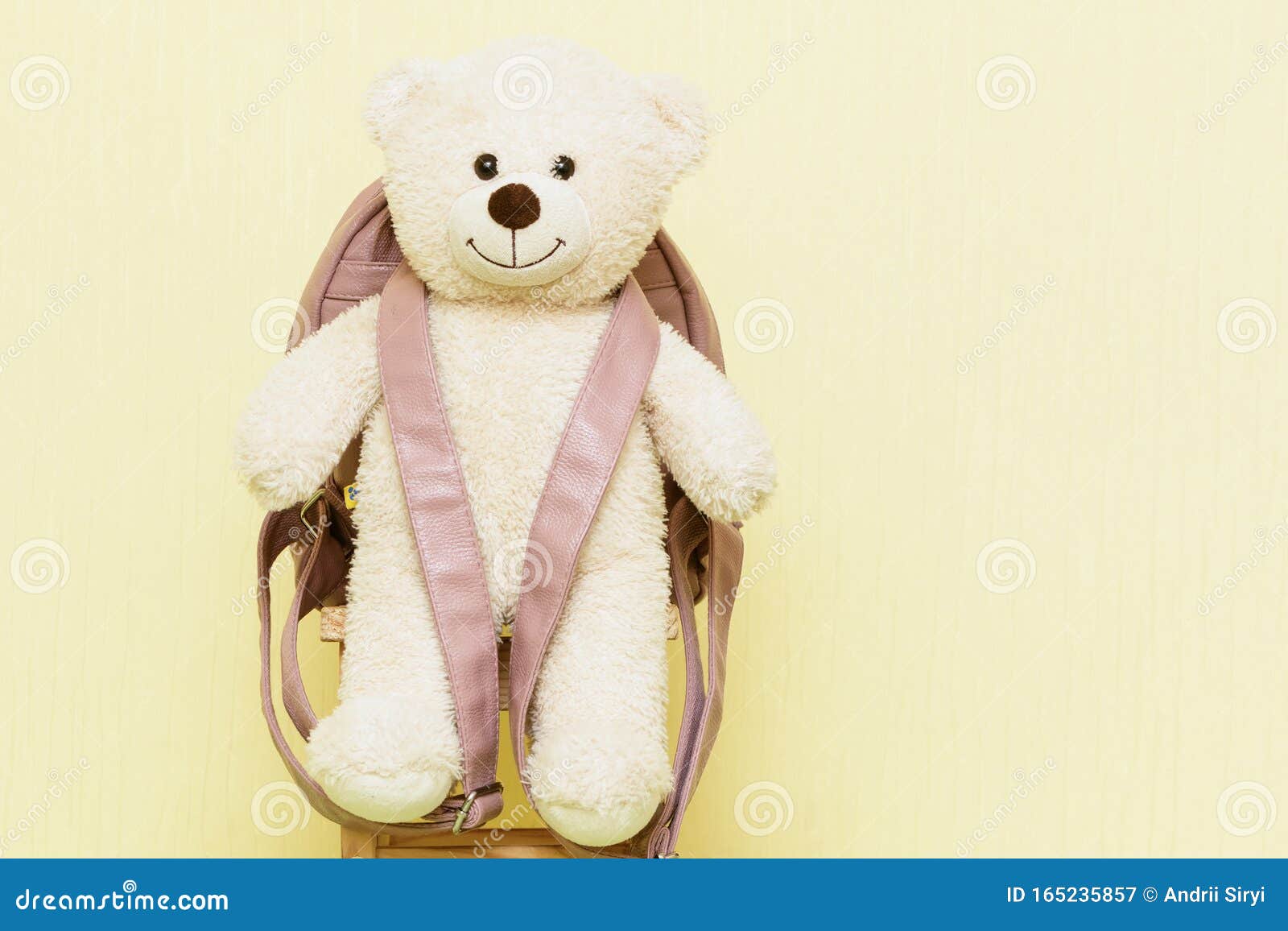 Teddy Bear with a Backpack. Stock Image - Image of school, backpack ...