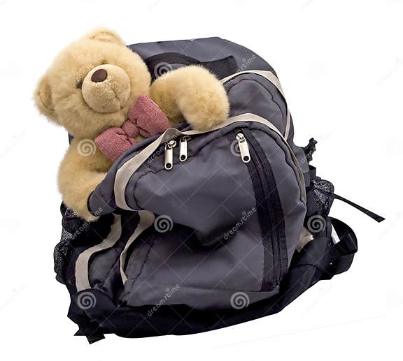Teddy Bear in a Backpack stock image. Image of care, back - 3411225