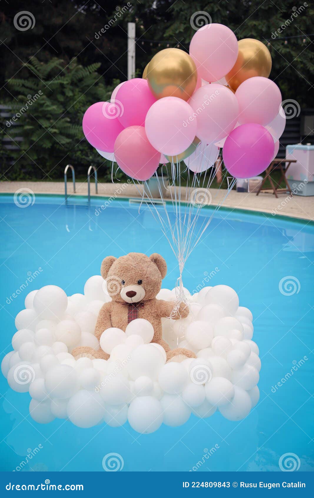 Teddy Bear with Balloons in the Swimming Pool Cute Decoration Stock ...