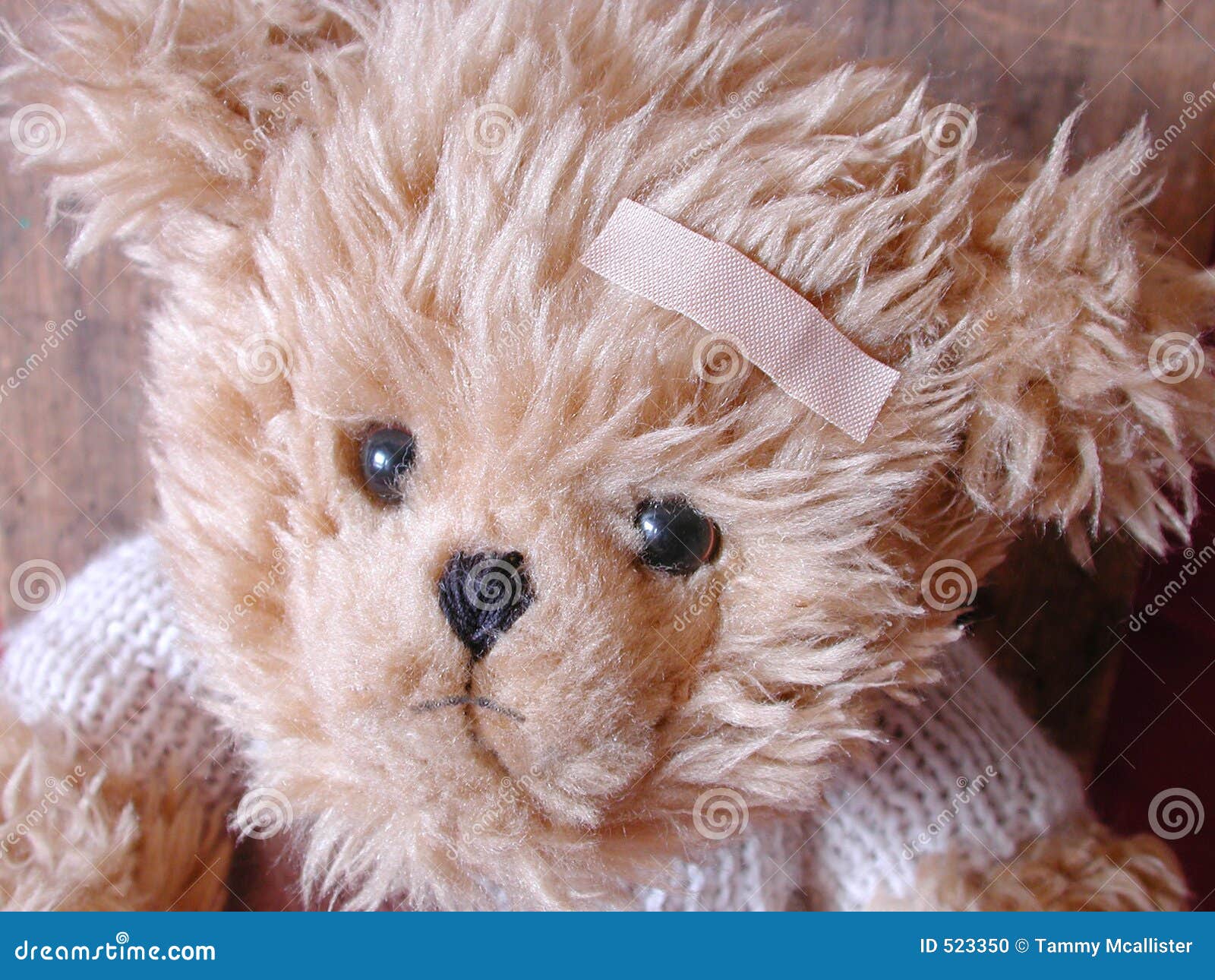 Teddy bear with bandaid stock photo. Image of mend, play - 523350