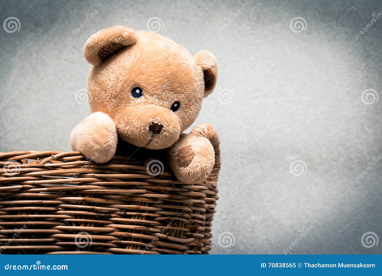 Teddy bear in basket stock image. Image of beautiful - 70838565