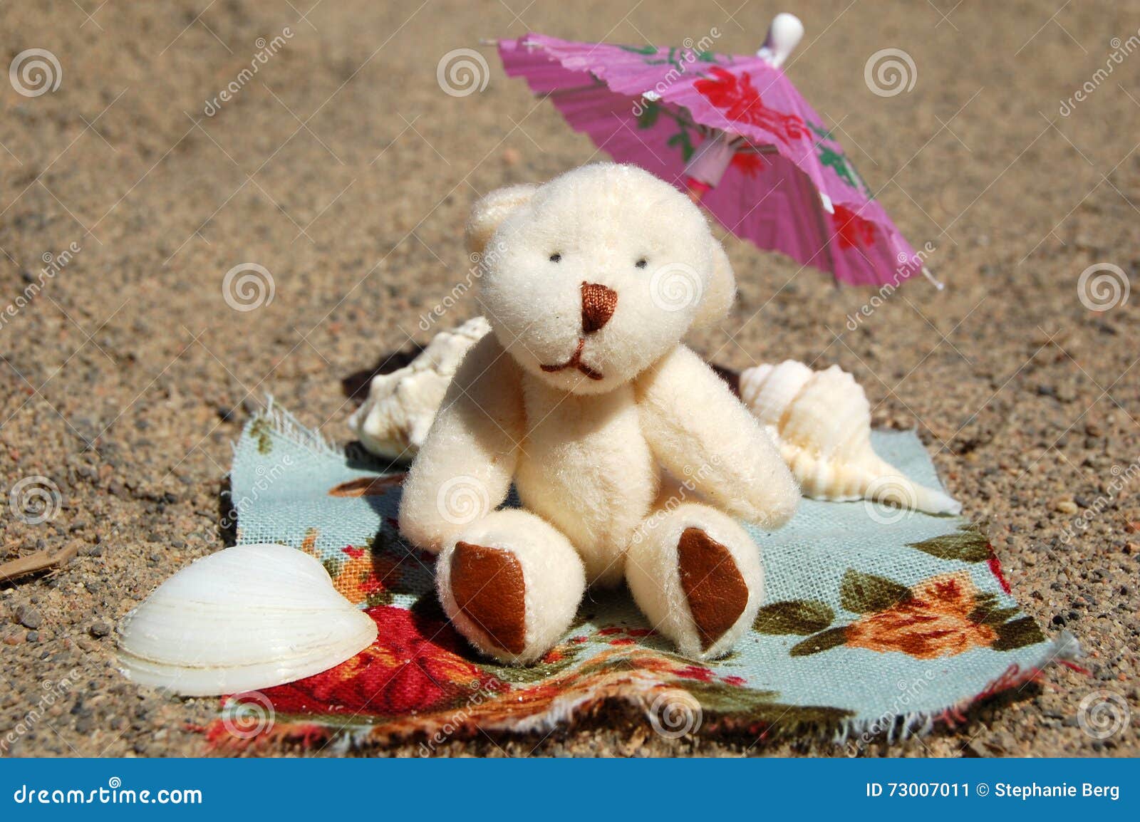 Teddy Bear at the Beach stock image. Image of beach, sitting - 73007011