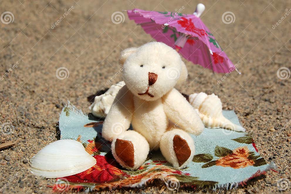 Teddy Bear at the Beach stock image. Image of beach, sitting - 73007011
