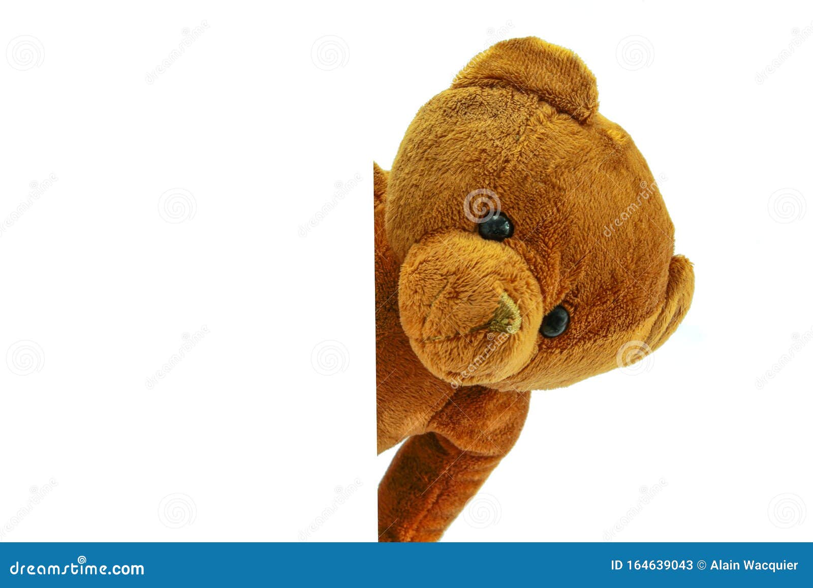 Teddy Bear Behind A Sign Royalty-Free Stock Photo | CartoonDealer.com ...