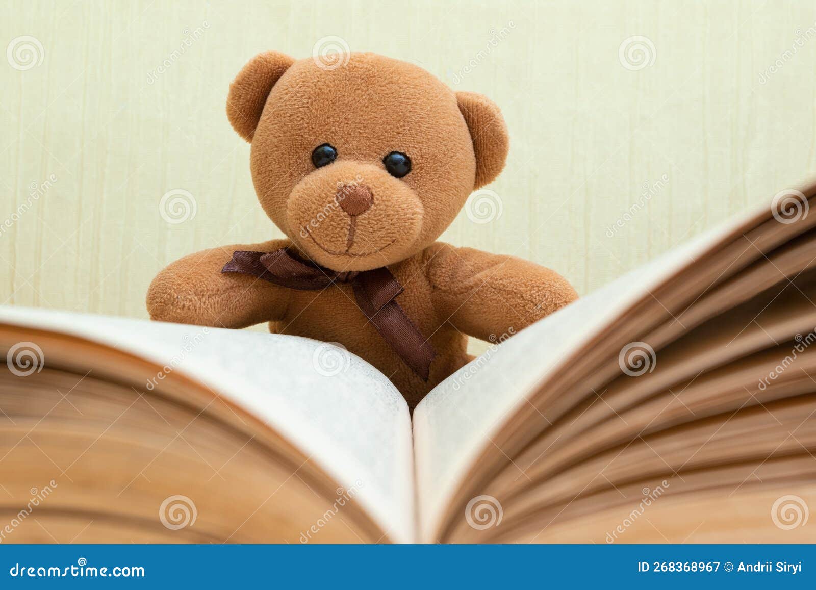 Teddy Bear and Big Open Book Stock Image - Image of book, plush: 268368967