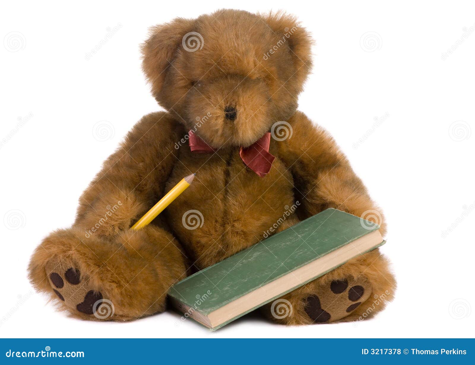 Teddy bear with book stock photo. Image of writing, teddy - 3217378