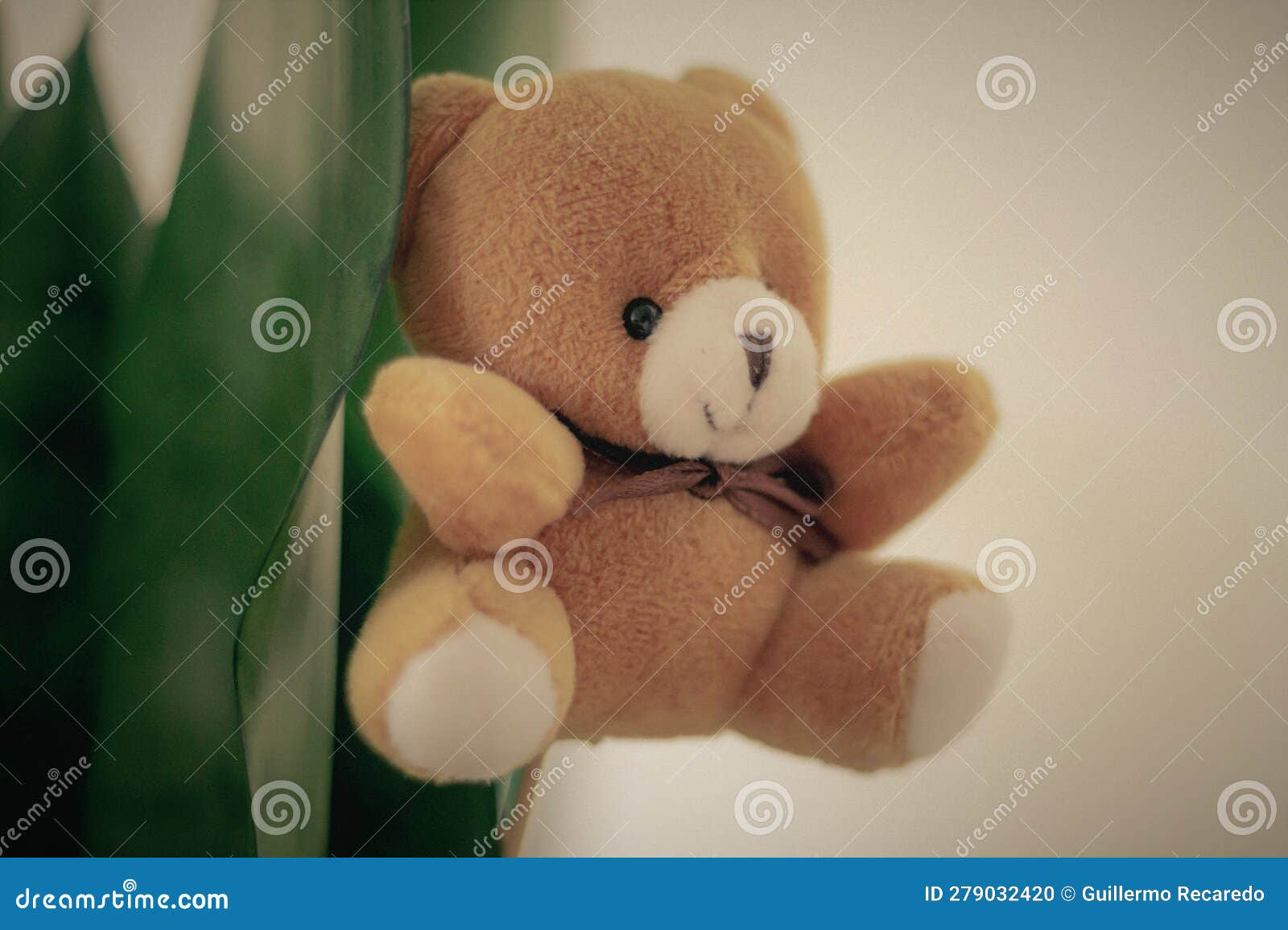 A Teddy Bear with a Bow Tie is Hanging on a Tree. Stock Photo - Image ...