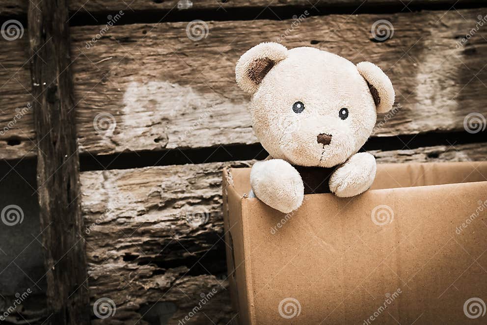 Teddy bear in box stock photo. Image of retro, child - 73013514