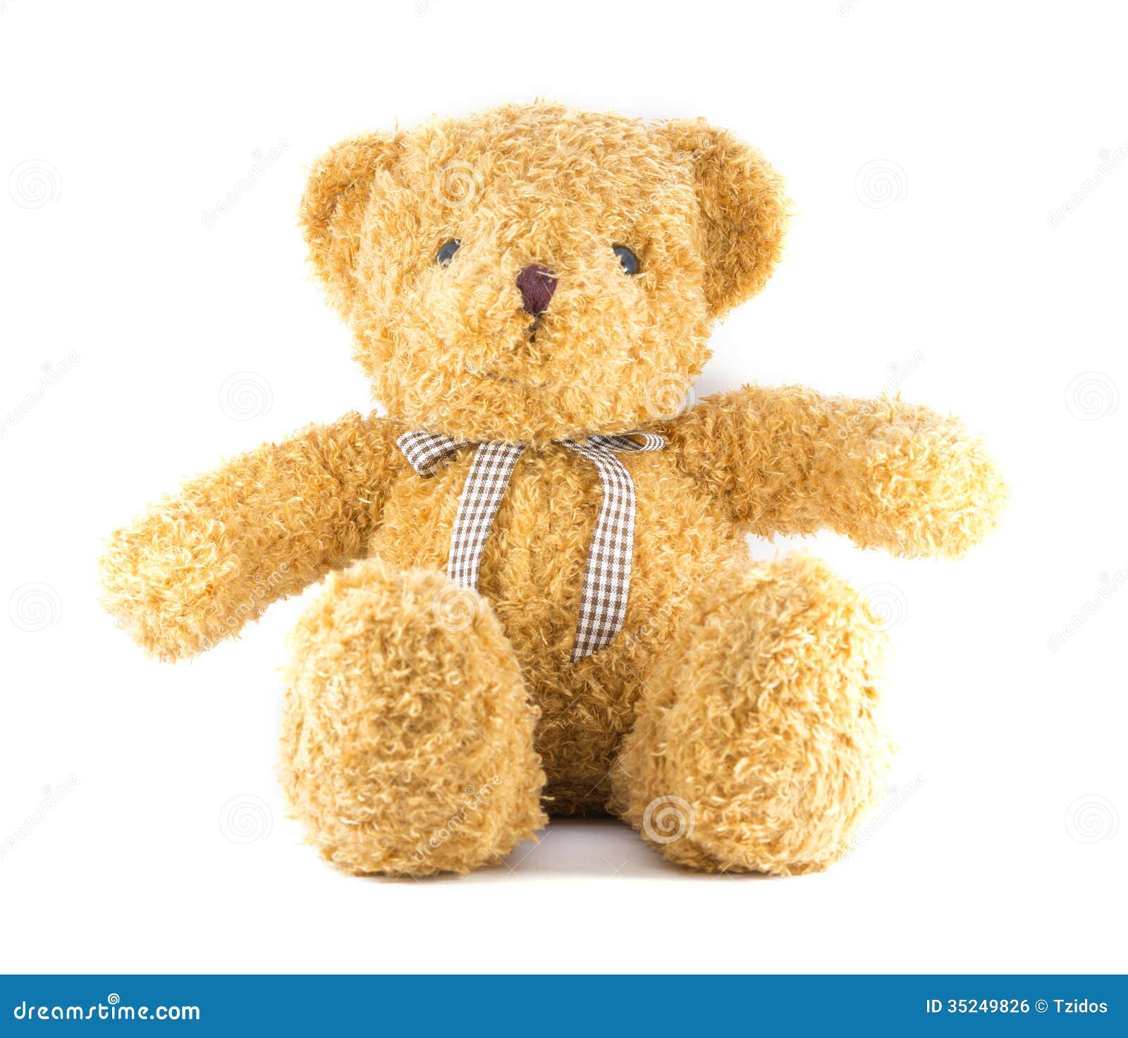 TEDDY BEAR Brown Color with Ribbon on White Background Stock Photo ...