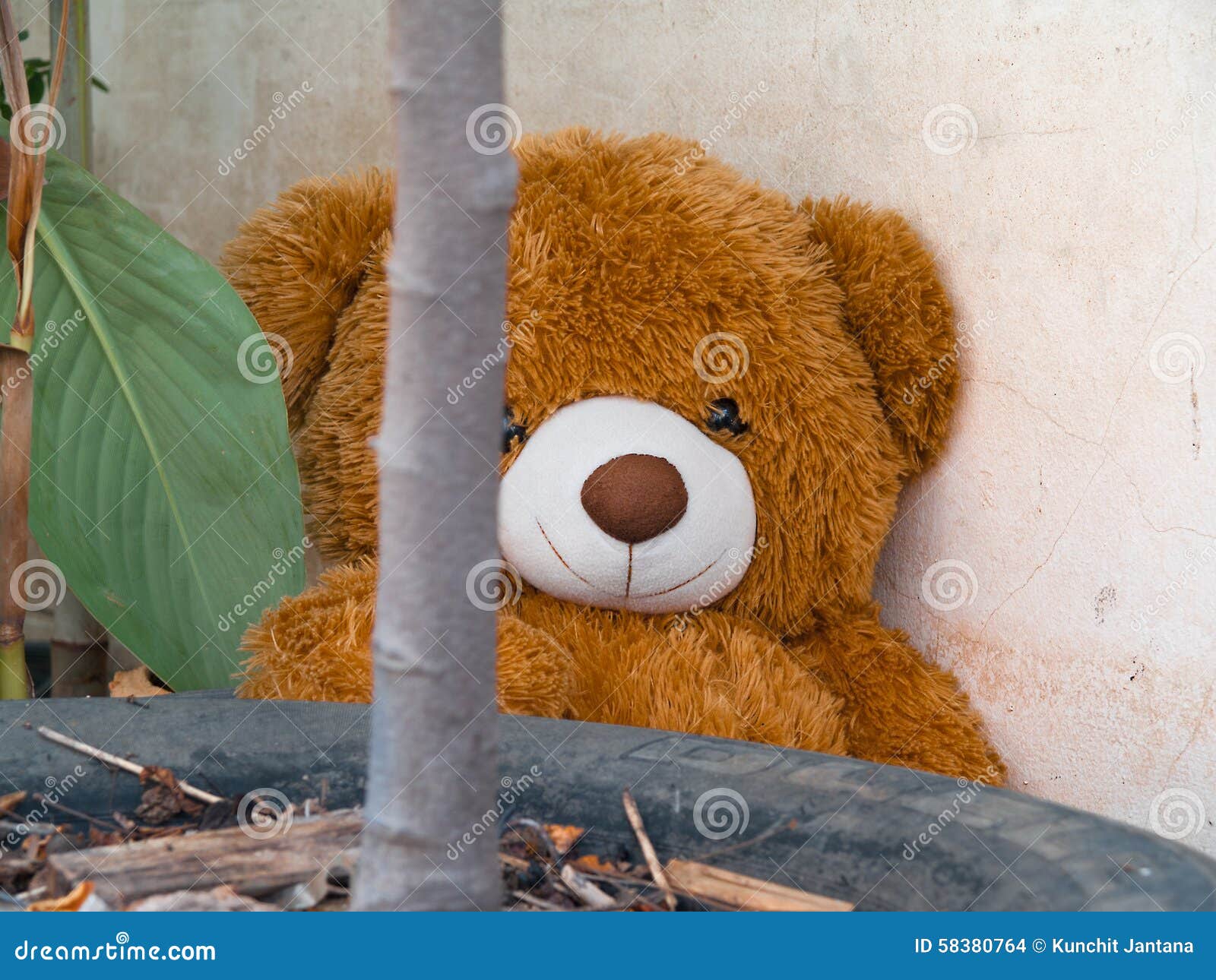 Teddy bear, brown stock photo. Image of child, doll, vintage - 58380764