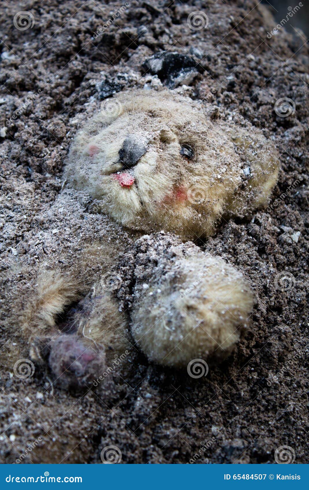 Teddy Bear Buried in a Pile of Ash Stock Image - Image of child, close ...