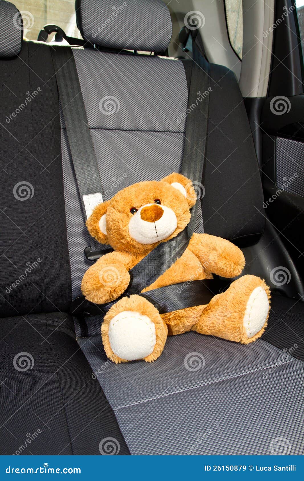 Teddy Bear in a car stock image. Image of transport, save - 26150879