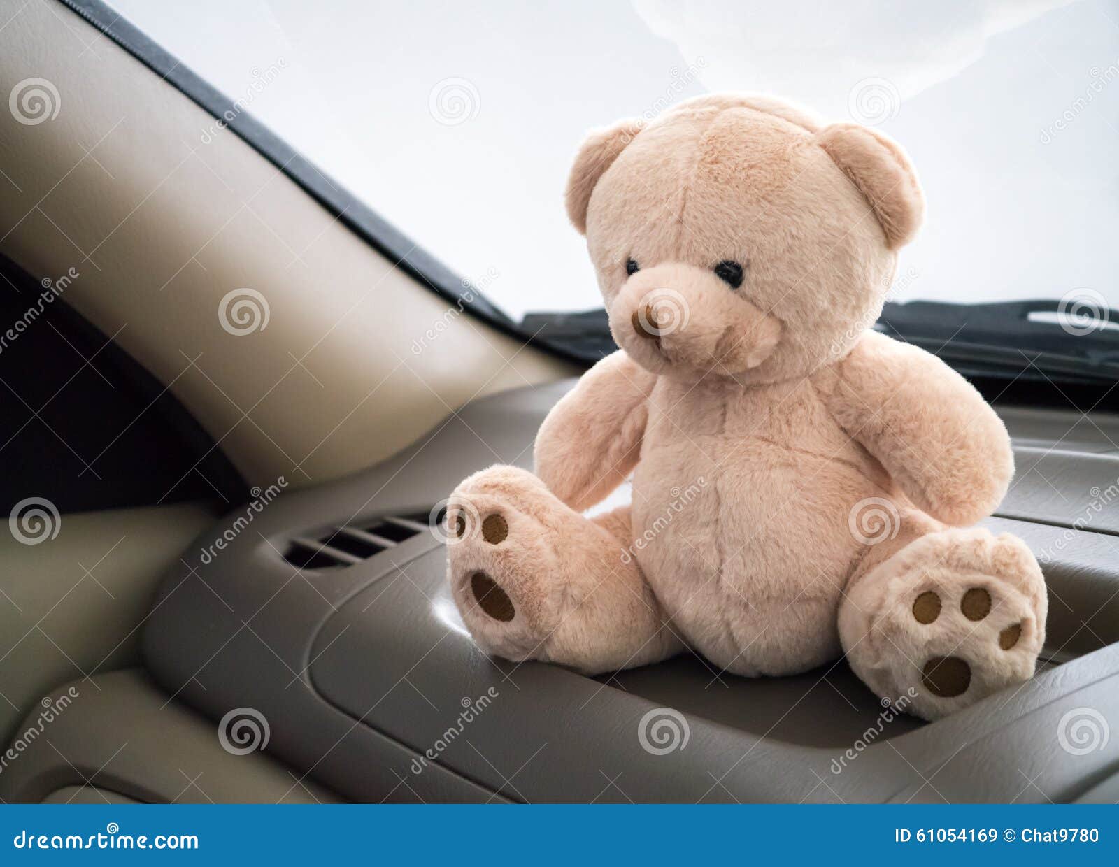 Teddy bear in car stock image. Image of console, windscreen - 61054169