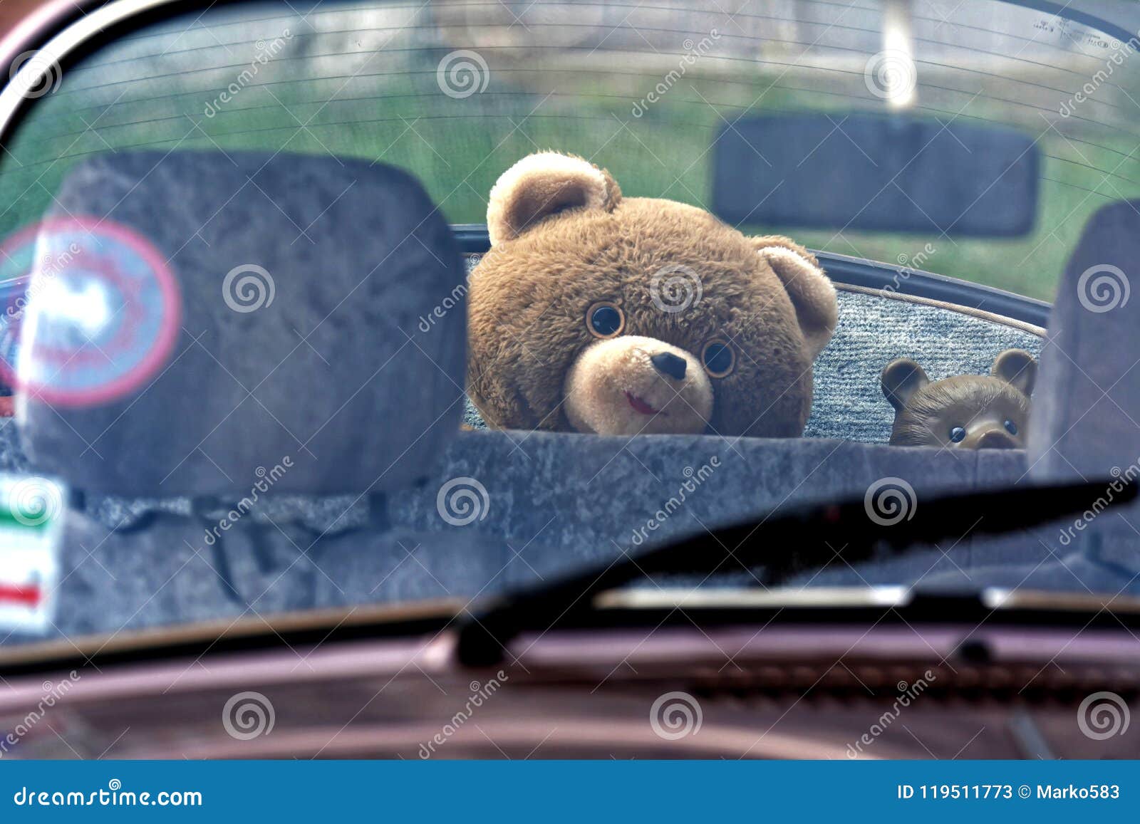Teddy Bear in a car stock image. Image of danger, automobile - 119511773