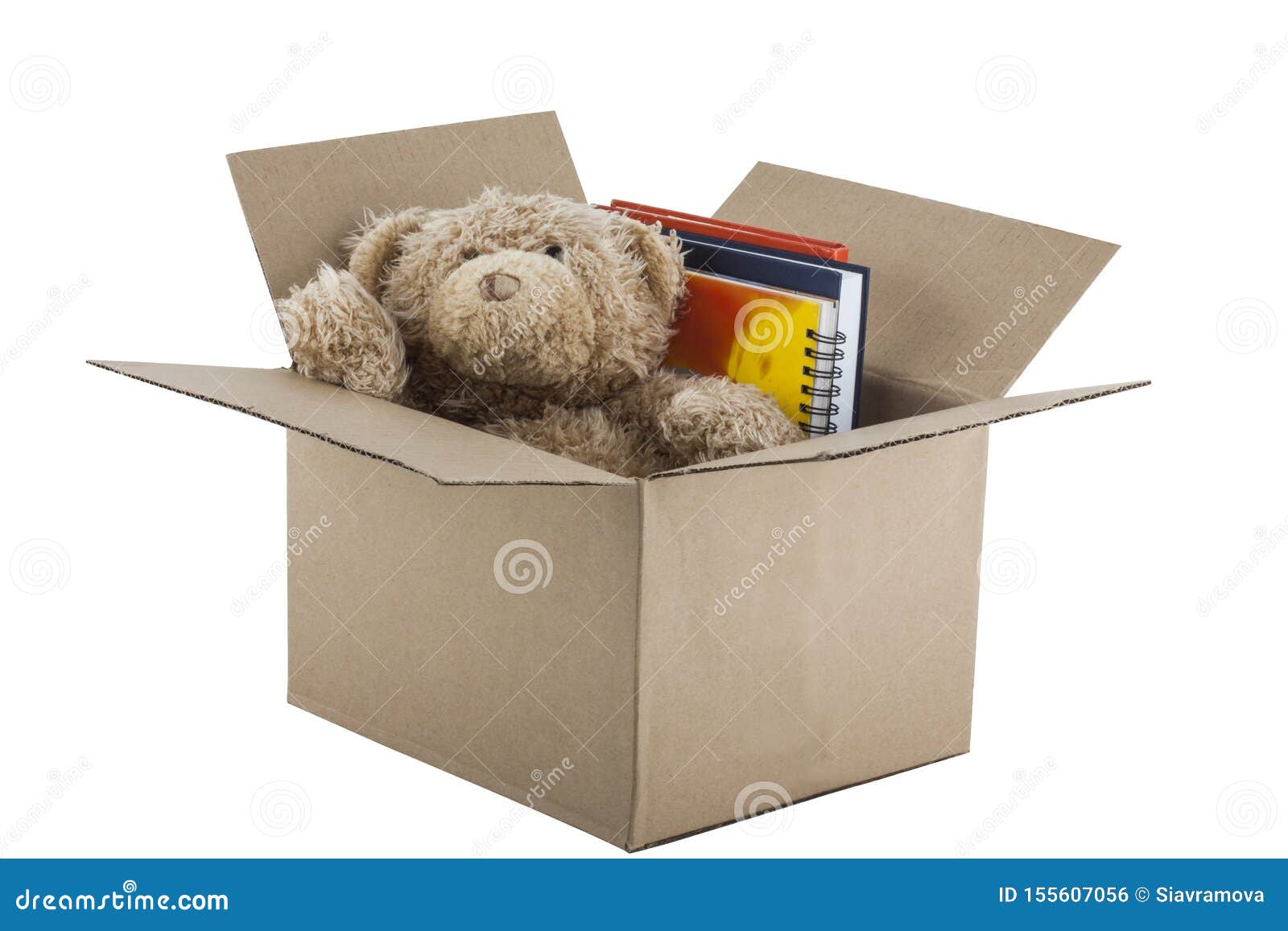 Teddy Bear in Cardboard Box Isolated on White Background Stock Photo ...