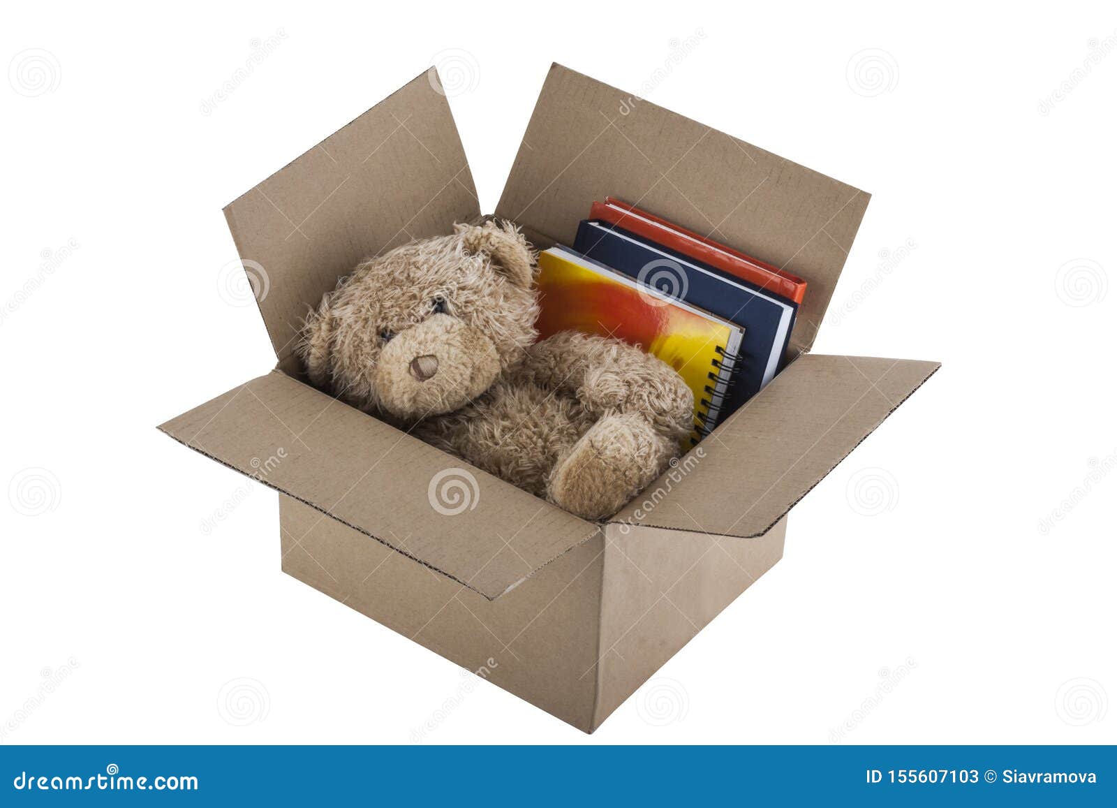 Teddy Bear in Cardboard Box Isolated on White Background Stock Image ...