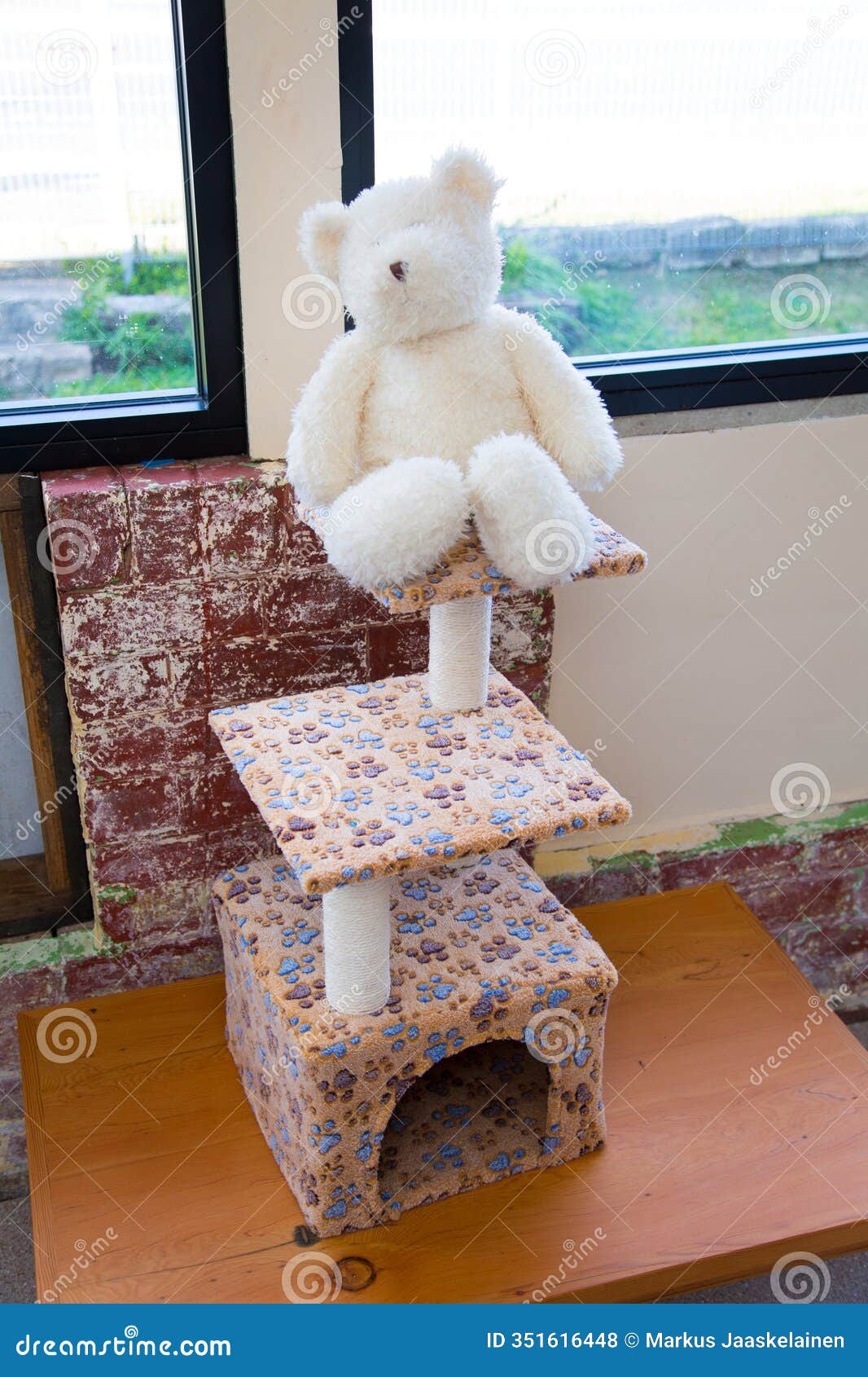 Teddy Bear on Cat Scratching Post Stock Photo - Image of whimsical ...
