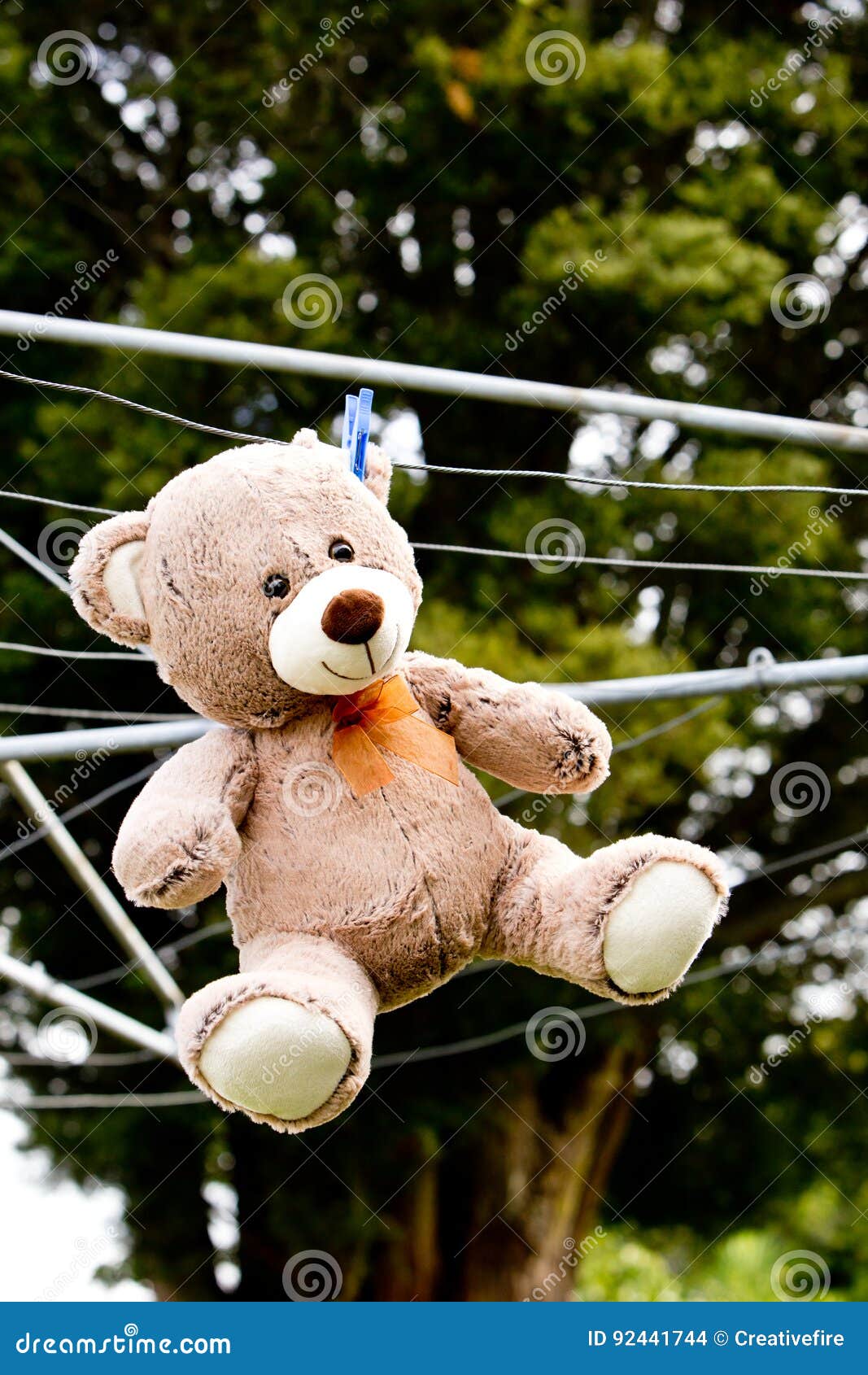 Teddy Bear on clothes line stock photo. Image of vertical - 92441744