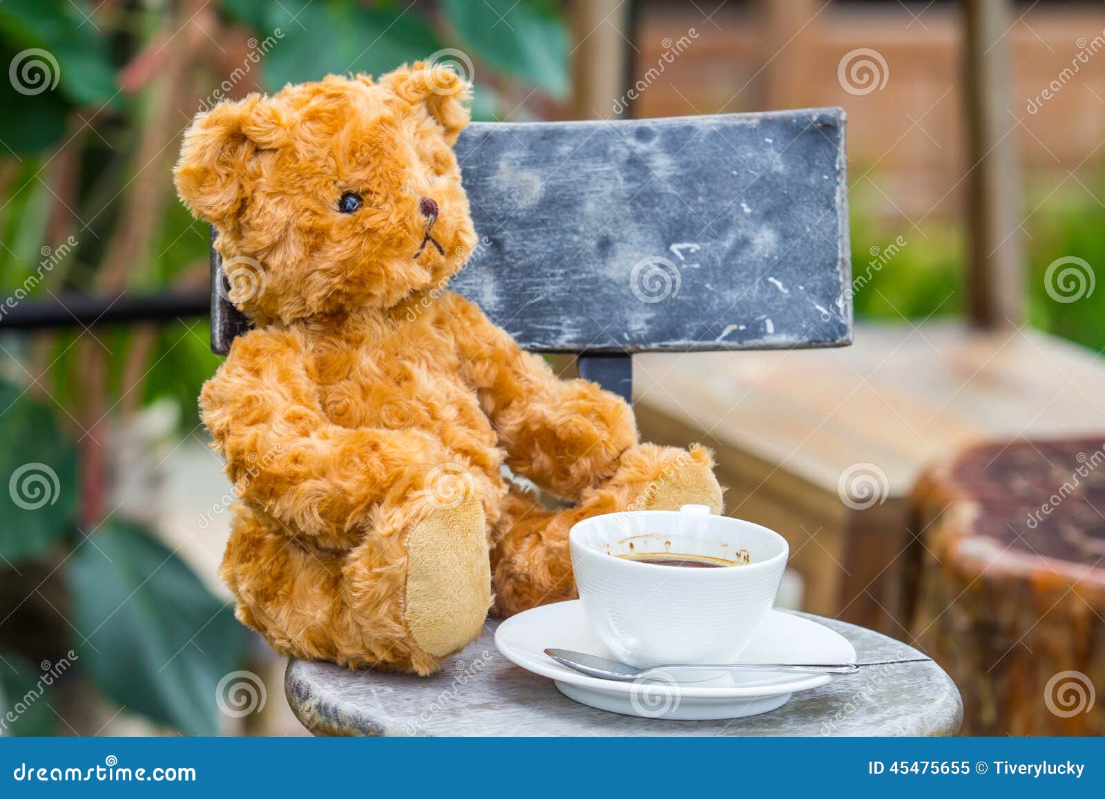 Teddy Bear stock image. Image of house, beautiful, teddy - 45475655