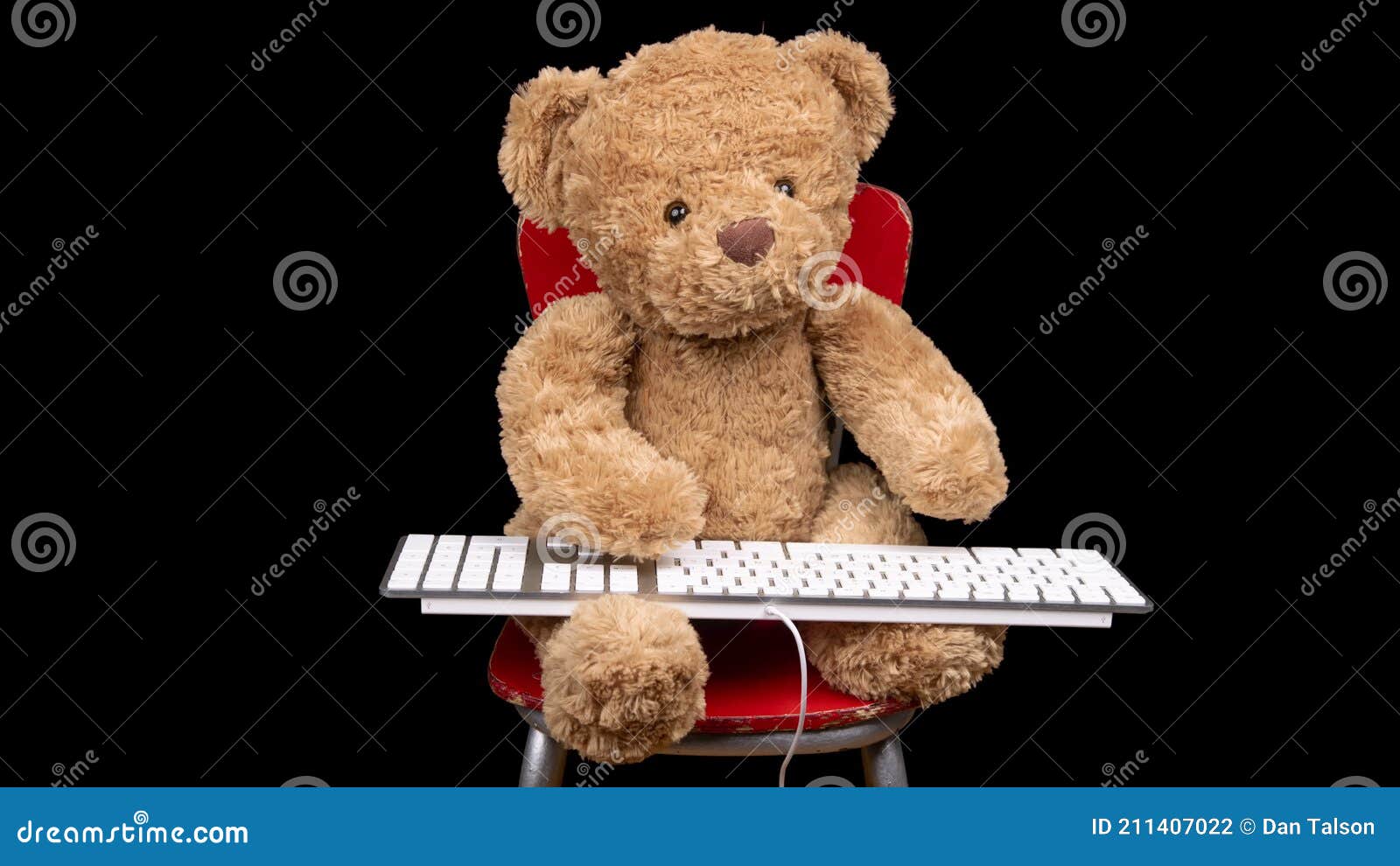 Teddy Bear Typing on Keyboard Stock Footage - Video of office ...