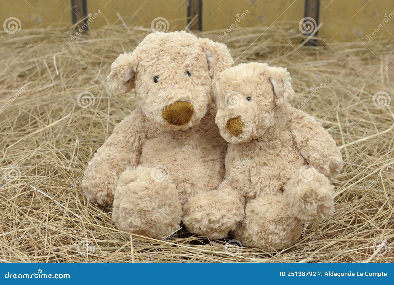 Teddy bear with cowboy hat stock photo. Image of straw - 25138792