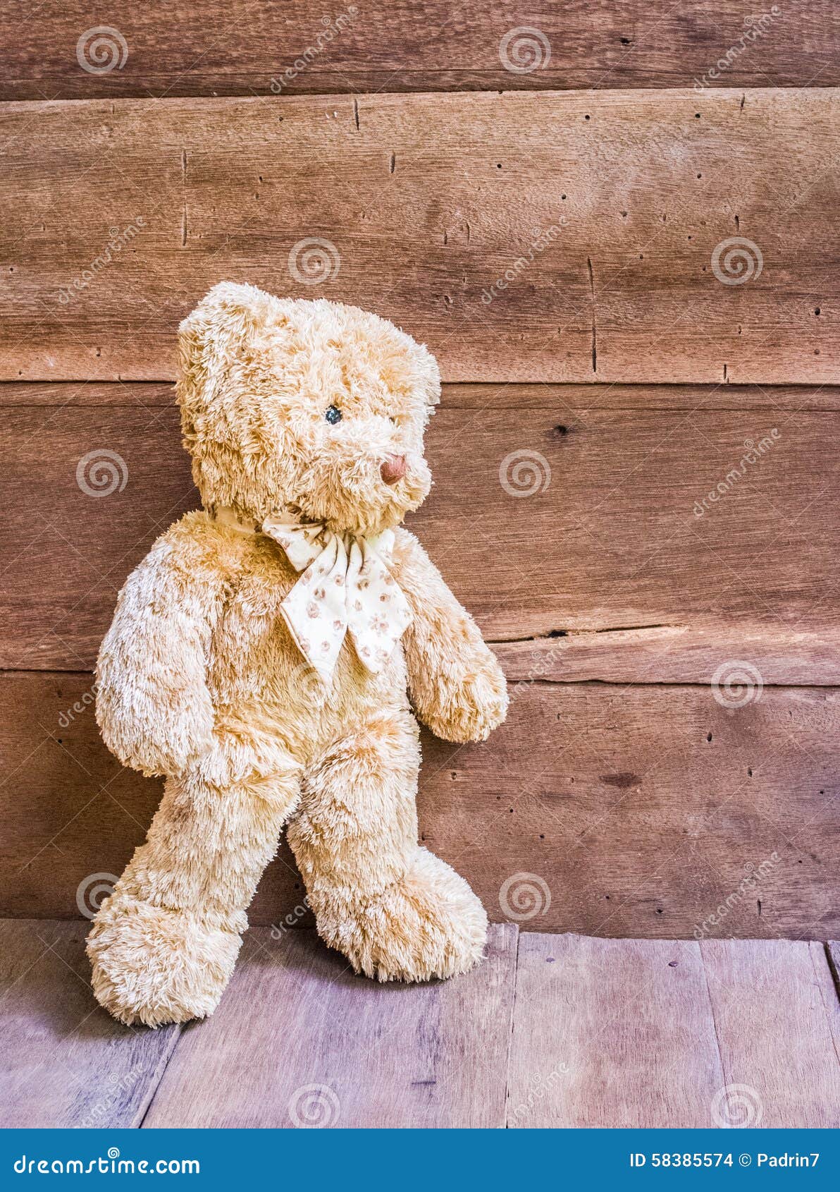 Teddy bear stock photo. Image of teddy, background, childhood - 58385574