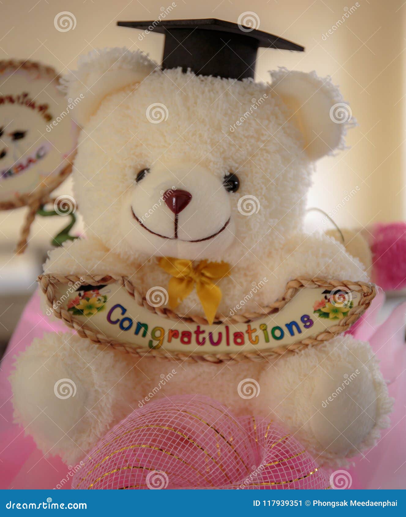 Teddy Bear Doll with Congratulation Sign Stock Image - Image of ...