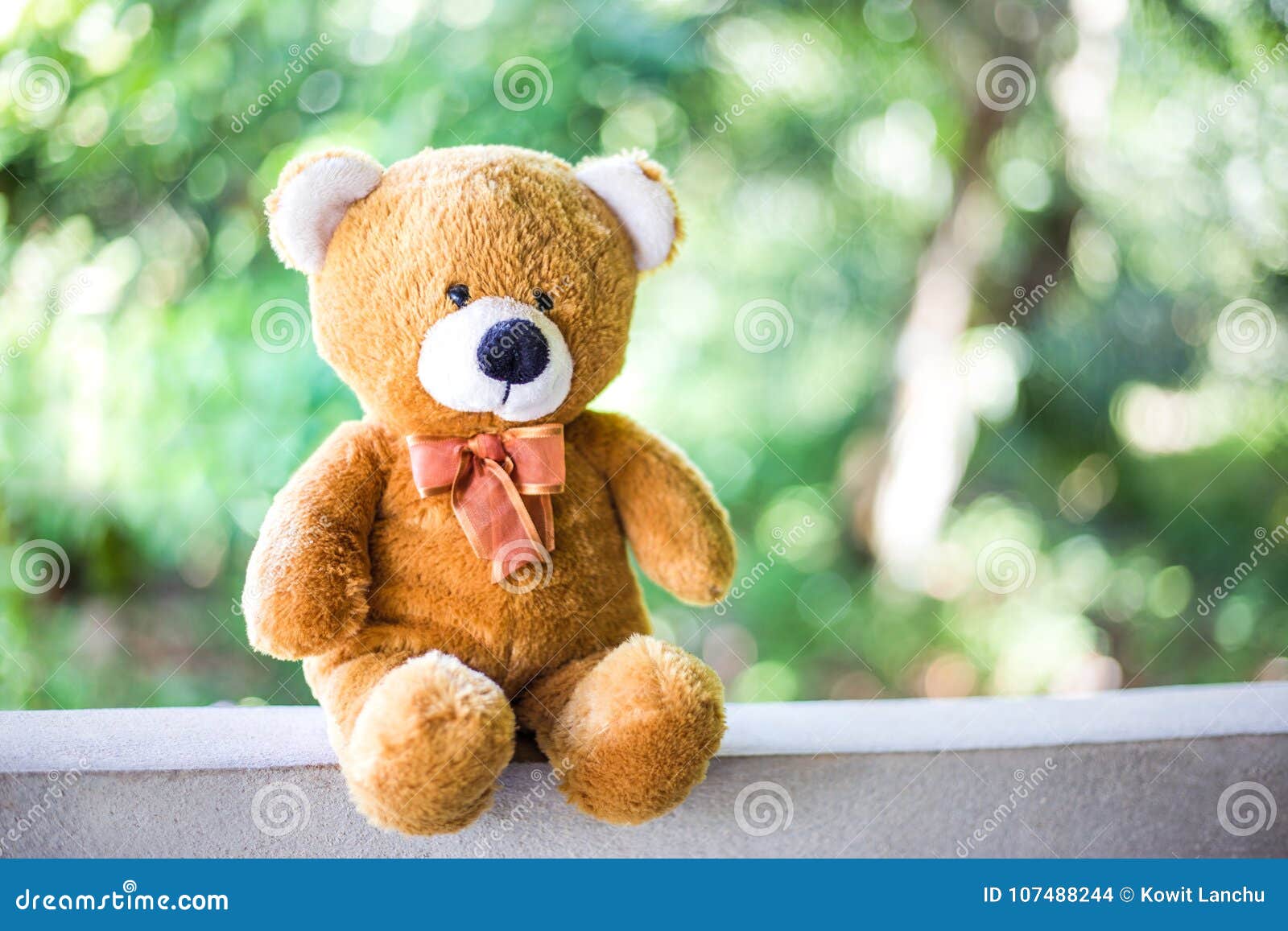 Teddy Bear Doll with Green Nature Background Stock Photo - Image of ...