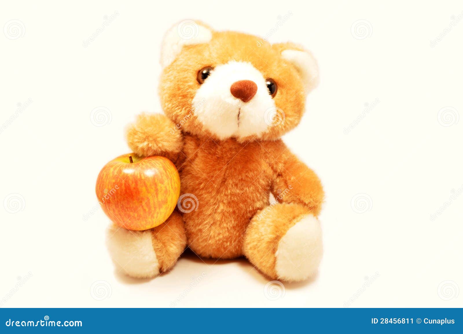 Teddy Bear eating an apple stock image. Image of refreshment - 28456811