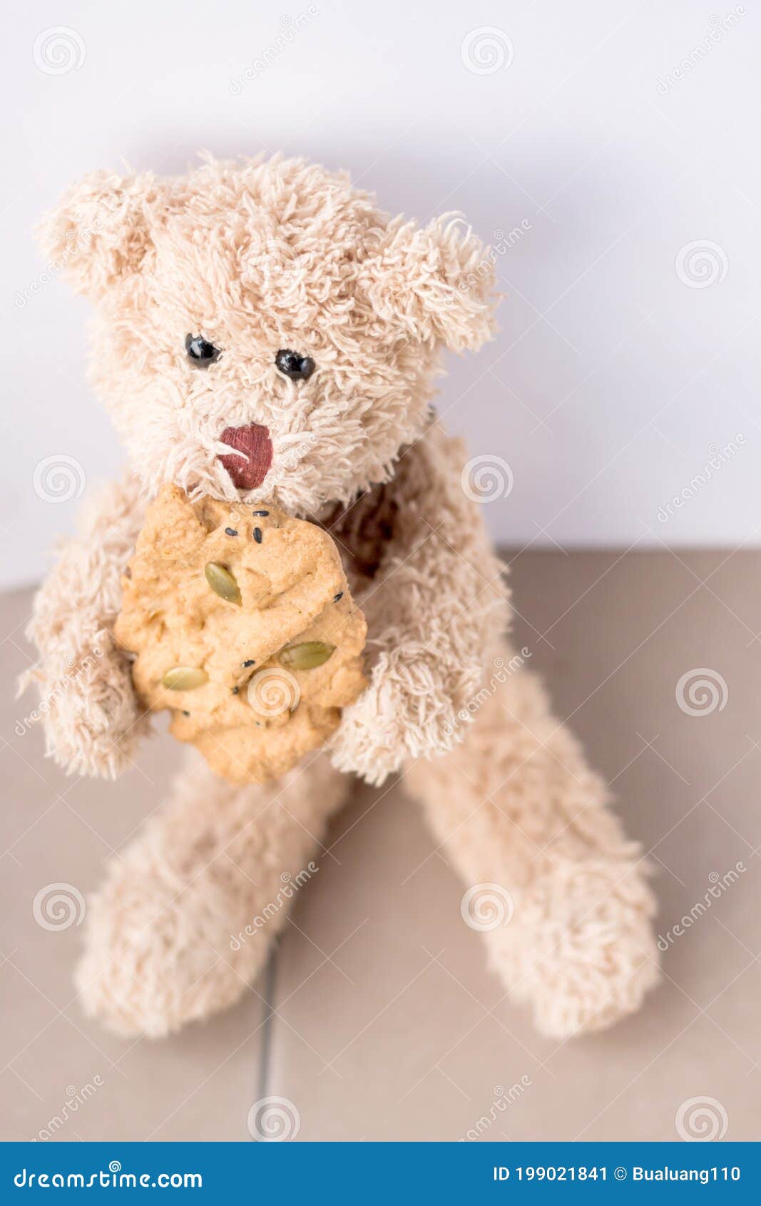 Teddy Bear is Eating a Sweet Cookies. Stock Image - Image of ...