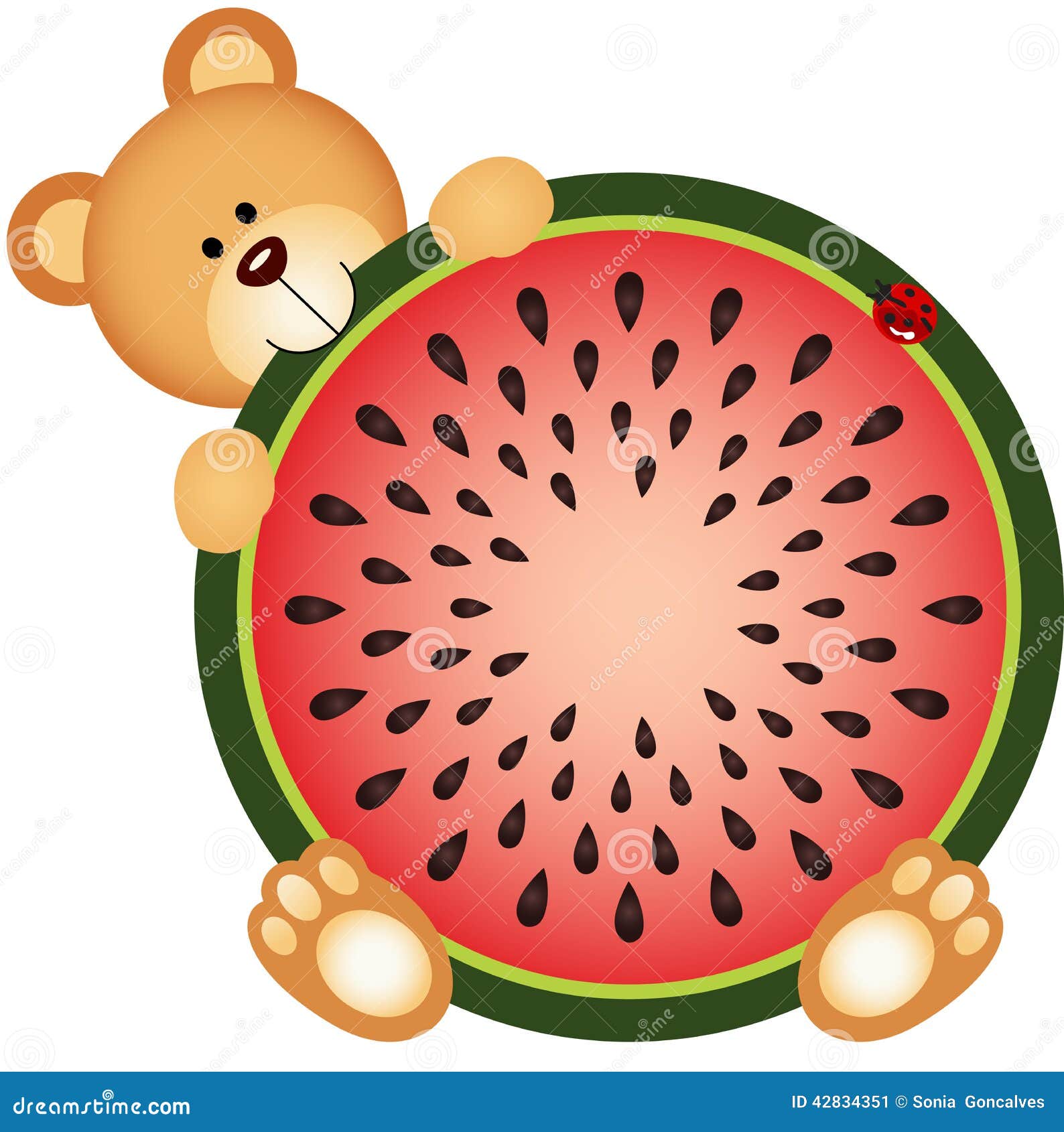 Teddy Bear Eating Watermelon Sliced Vector Illustratie - Illustration ...