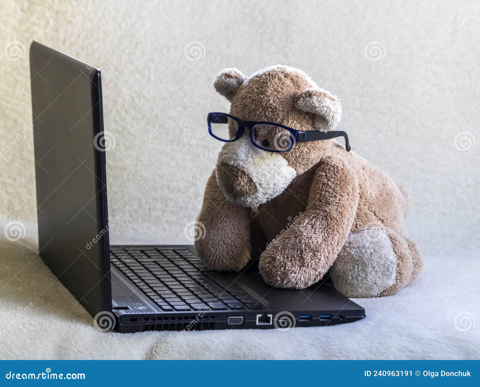 Teddy Bear Working on Laptop Stock Image - Image of learning, sitting ...