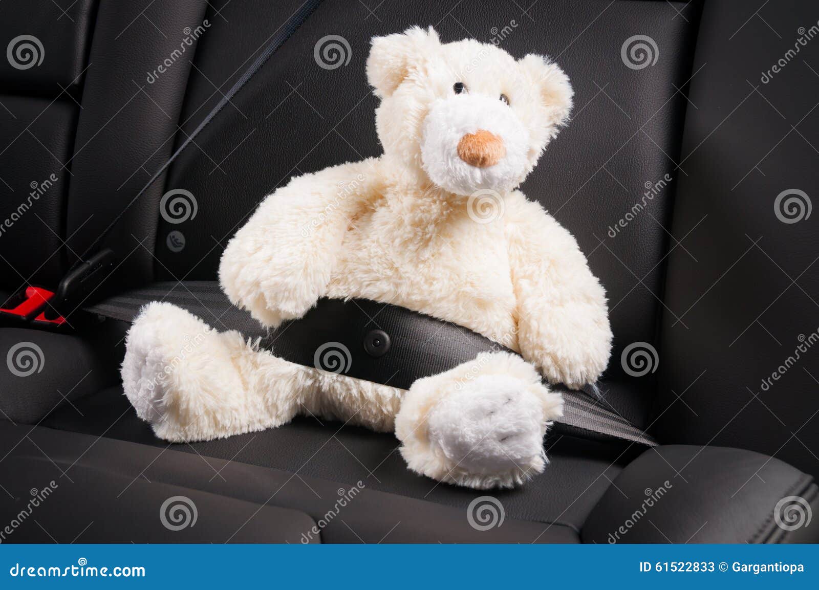 Teddy Bear Fastened in the Back Seat of a Car Stock Image - Image of ...