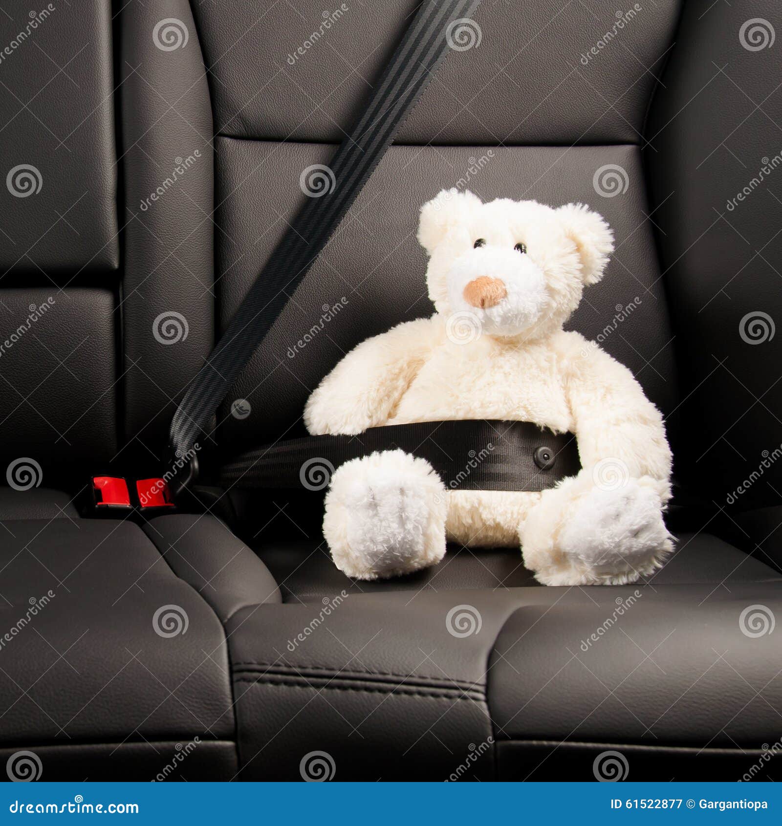 Teddy Bear Fastened in the Back Seat of a Car Stock Image - Image of ...