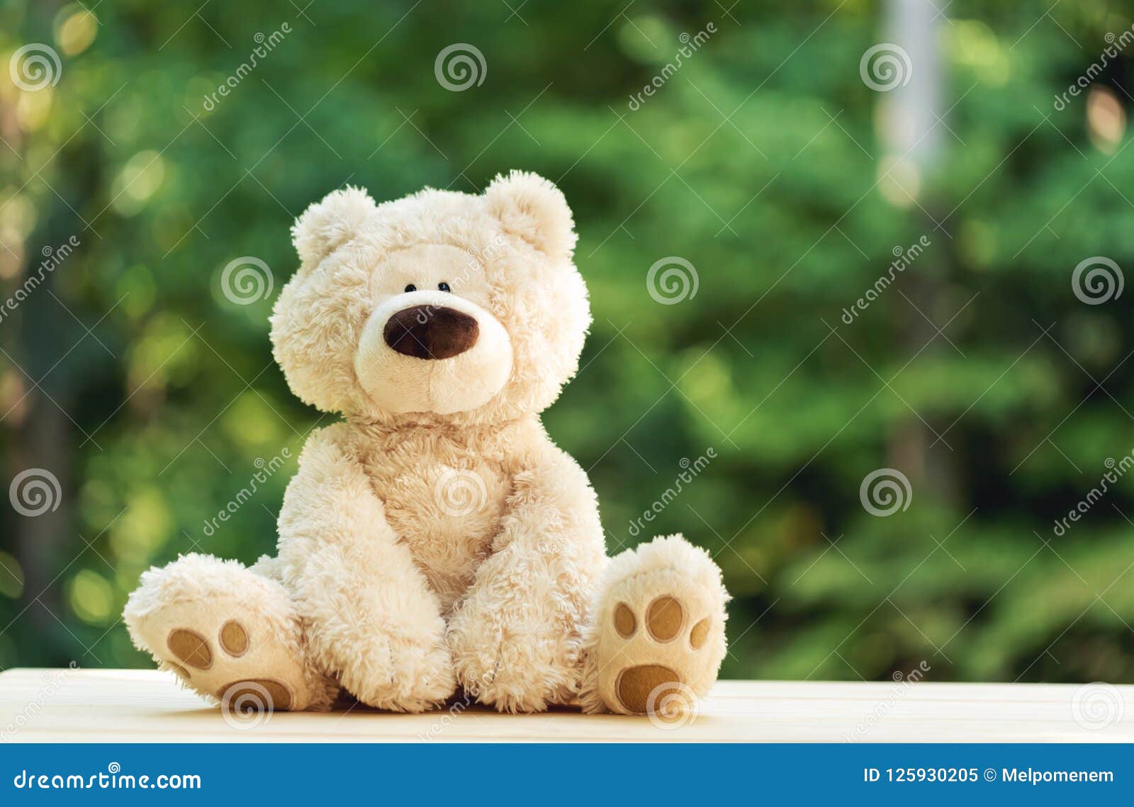 A Teddy Bear on Forest Background Stock Image - Image of wood, outdoor ...