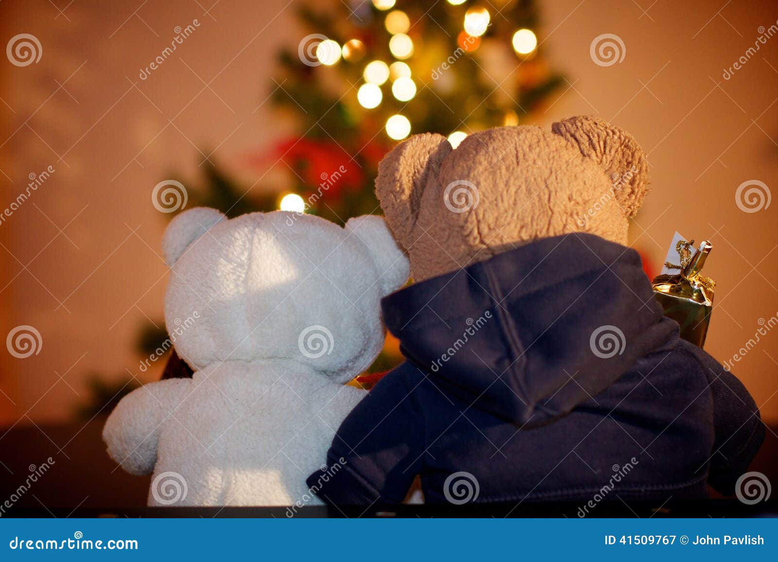Teddy Bear Friendship imagen de archivo. Imagen de apertura - 41509767