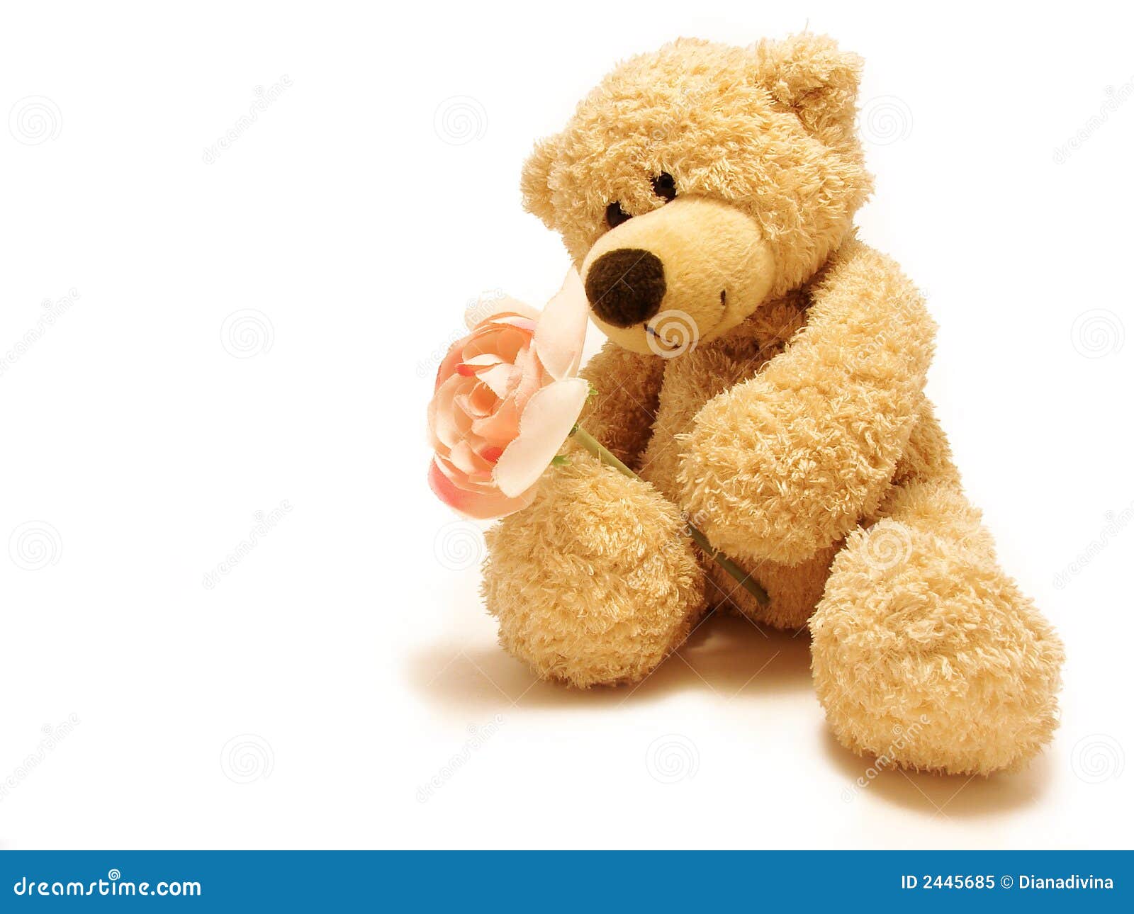 Teddy-bear giving rose stock image. Image of plaything - 2445685