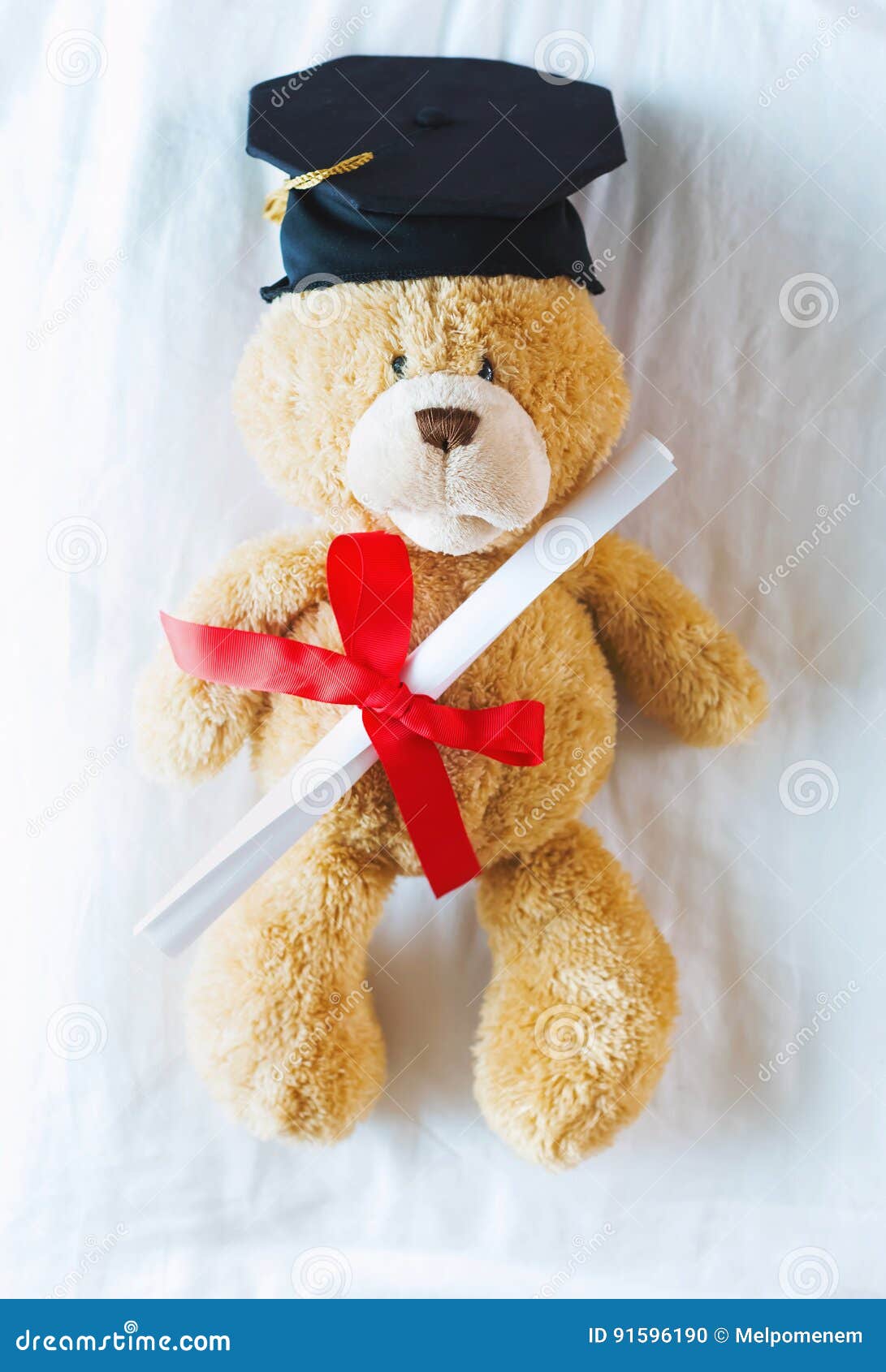 Teddy Bear in Graduation Cap Holding His Diploma Stock Photo - Image of ...
