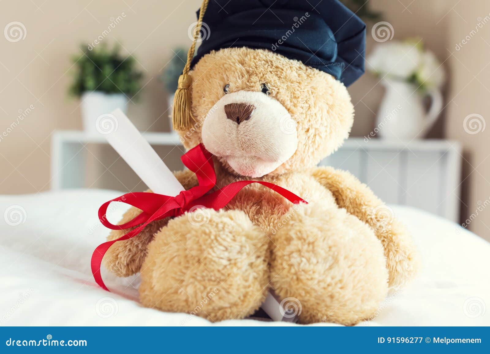 Teddy Bear in Graduation Cap Holding His Diploma Stock Image - Image of ...