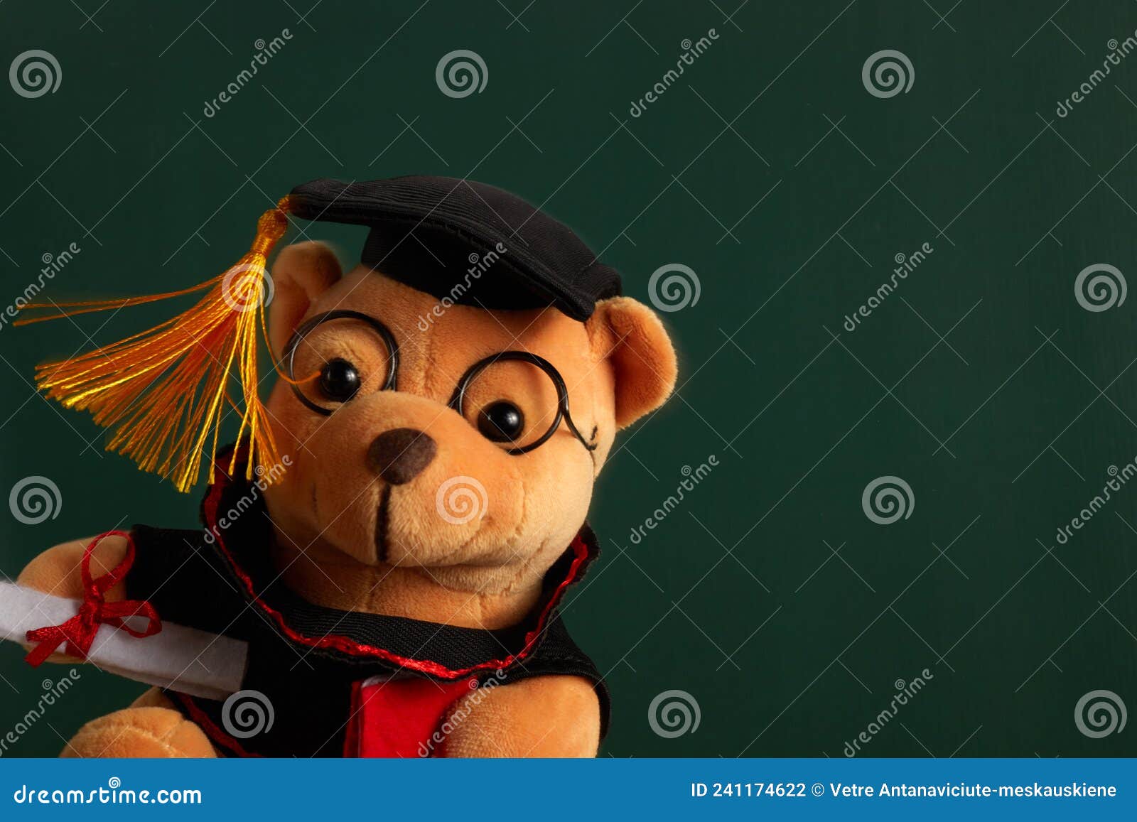 Teddy Bear with Graduation Hat and Diploma in Front of Green Chalkboard ...