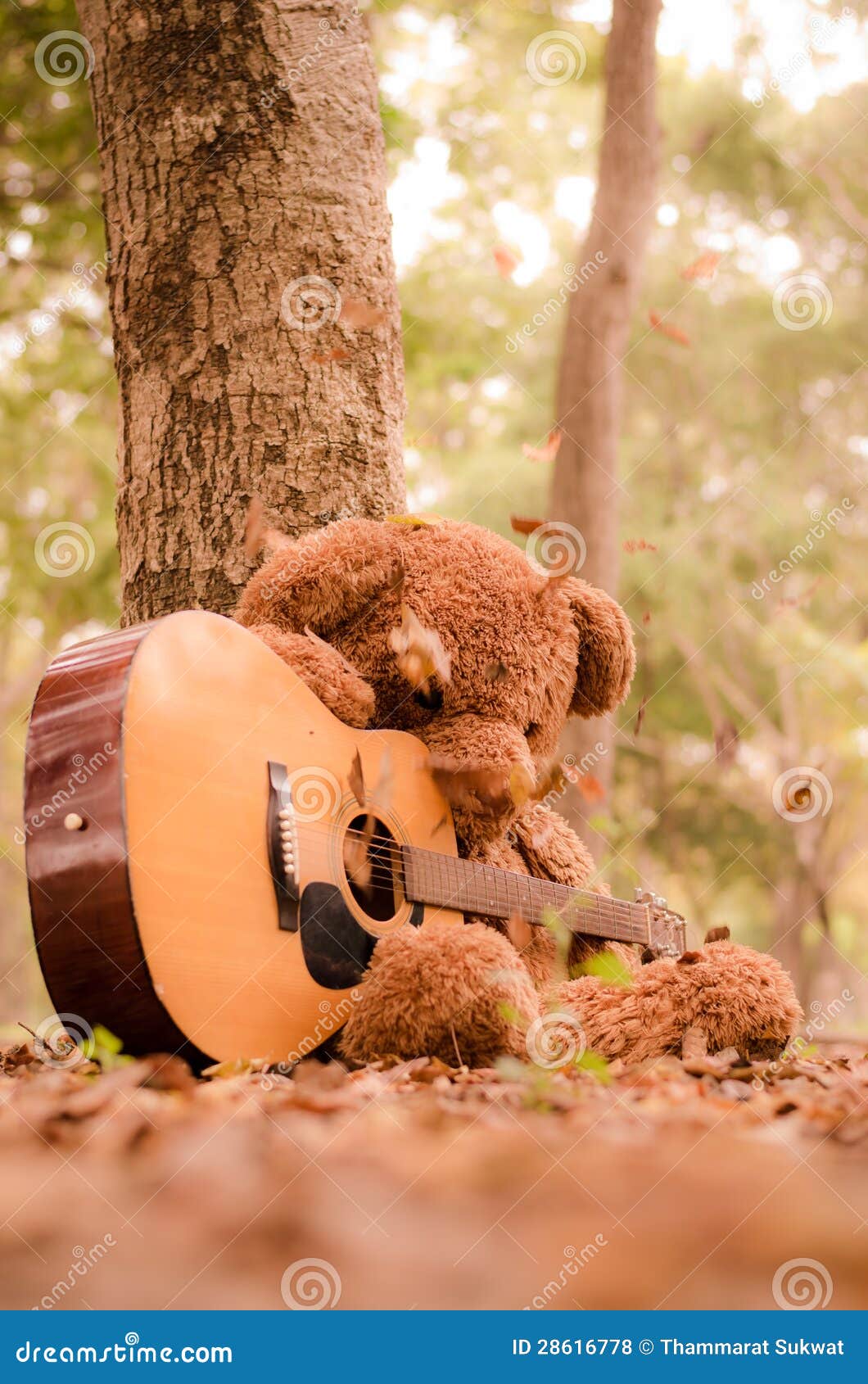 Teddy bear with the guitar stock photo. Image of bear - 28616778