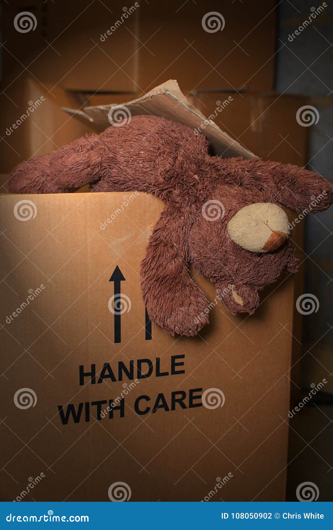 Teddy Bear Hanging Out of a Cardboard Box in a Loft Stock Photo - Image ...