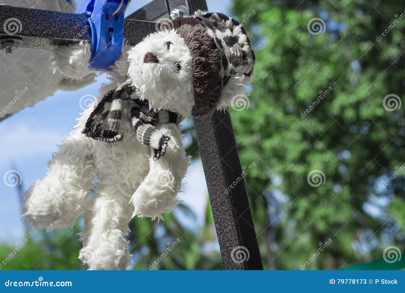 Teddy bear hanging. stock image. Image of clean, cute - 79778173