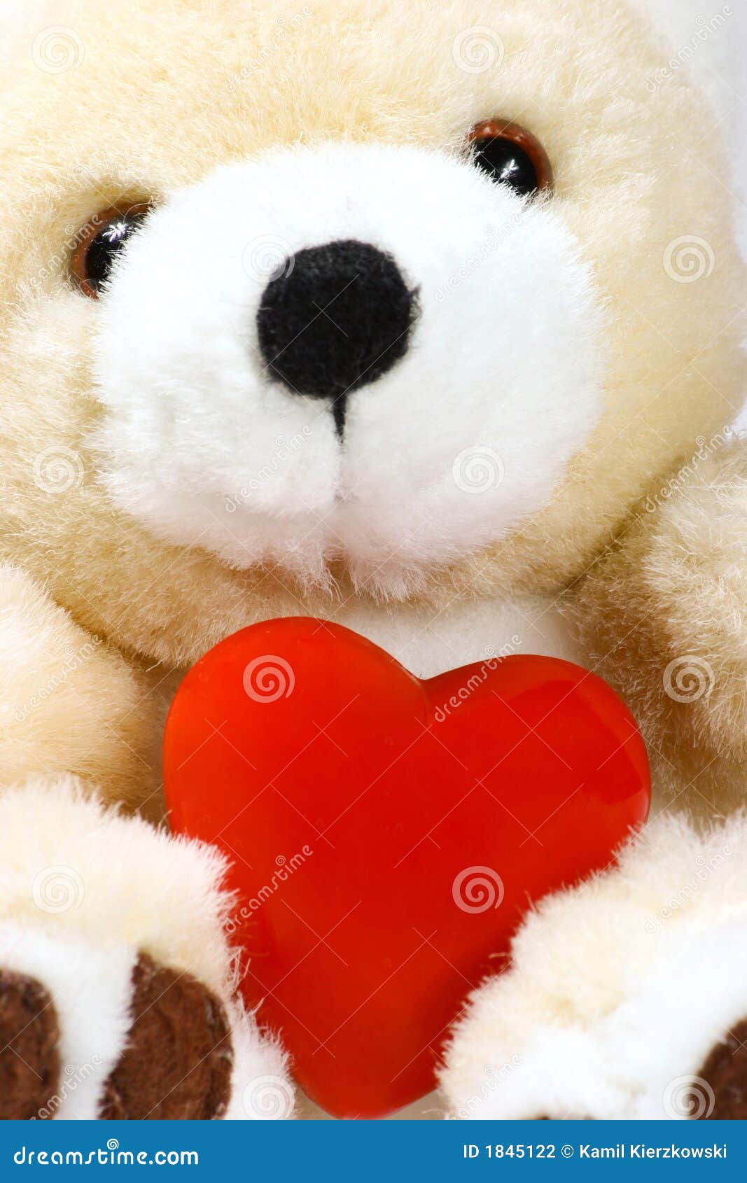 Teddy bear with heart stock photo. Image of date, yellow - 1845122