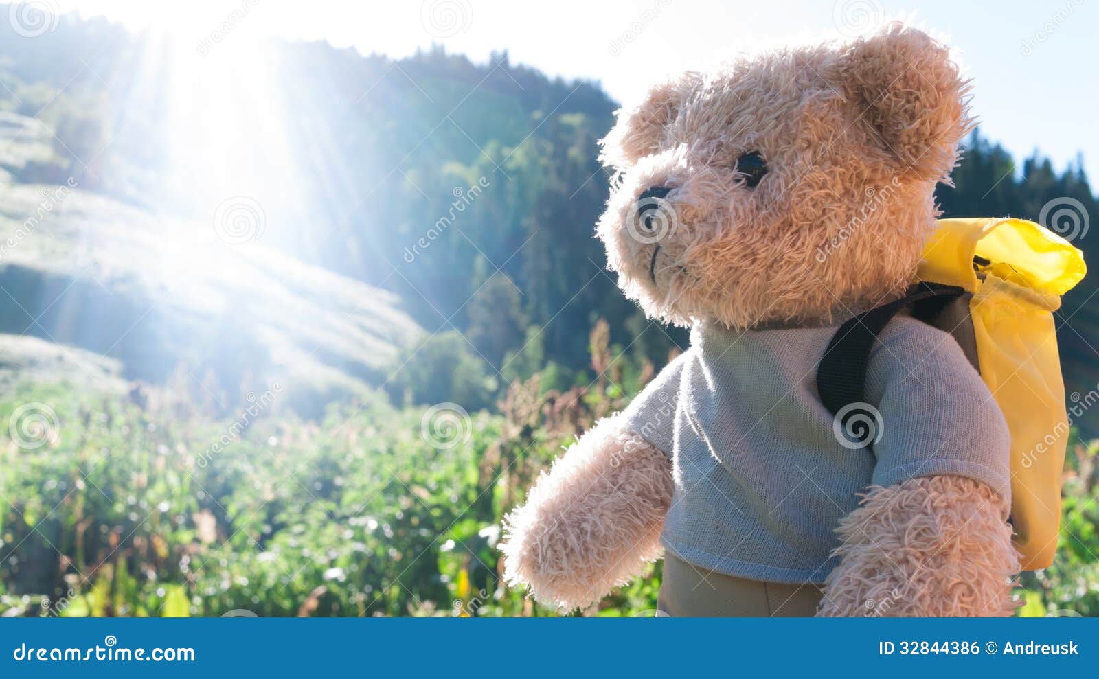 Teddy bear hiking stock photo. Image of hike, funny, travel - 32844386